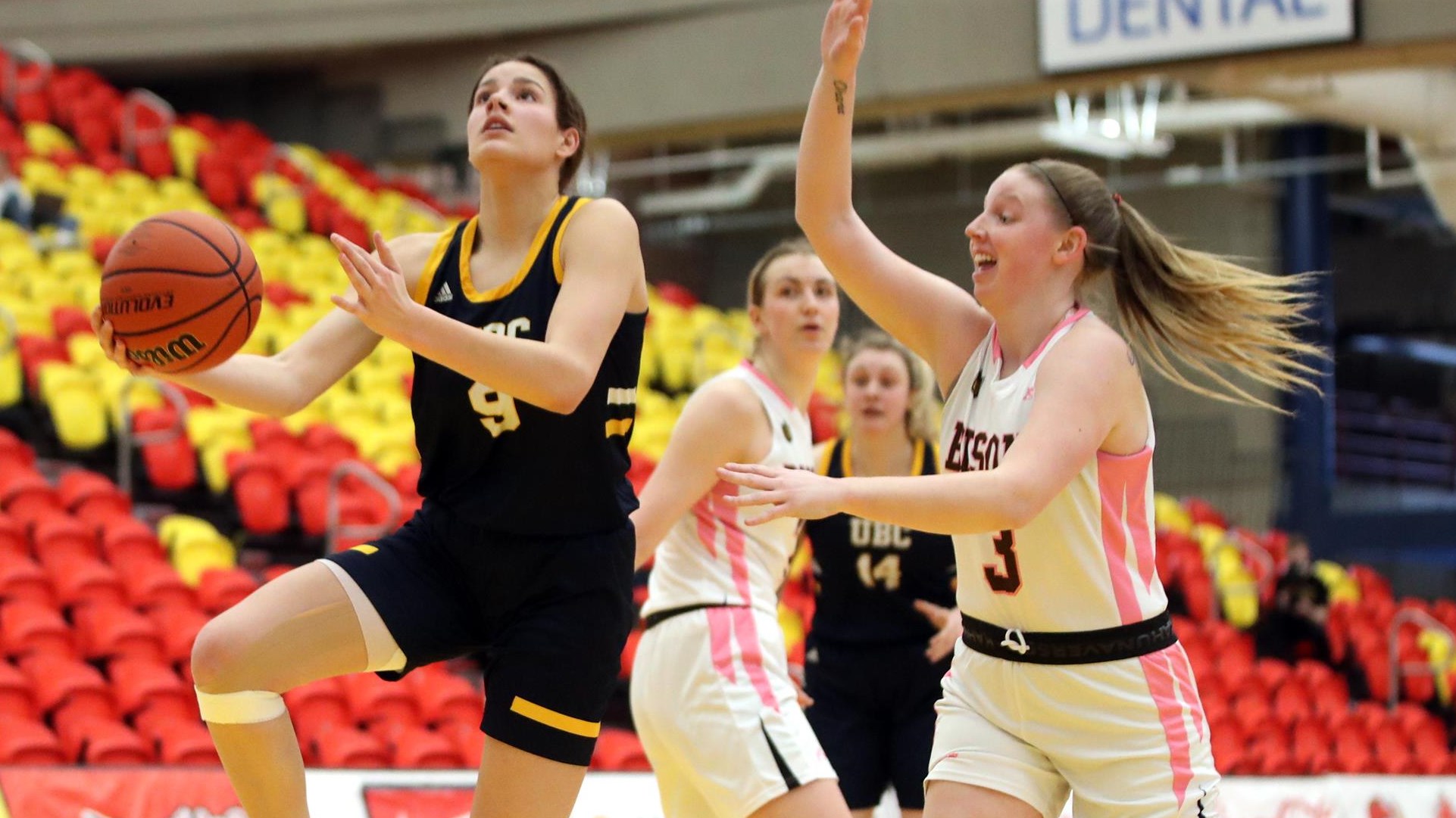 T-Birds fall in first round to sharpshooting Bisons - University of ...