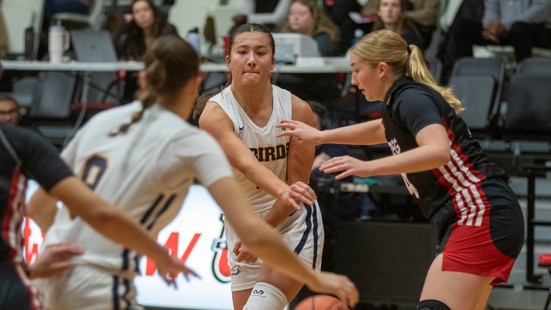 Defence-driven T-Birds wallop Wesmen in Winnipeg - University of ...