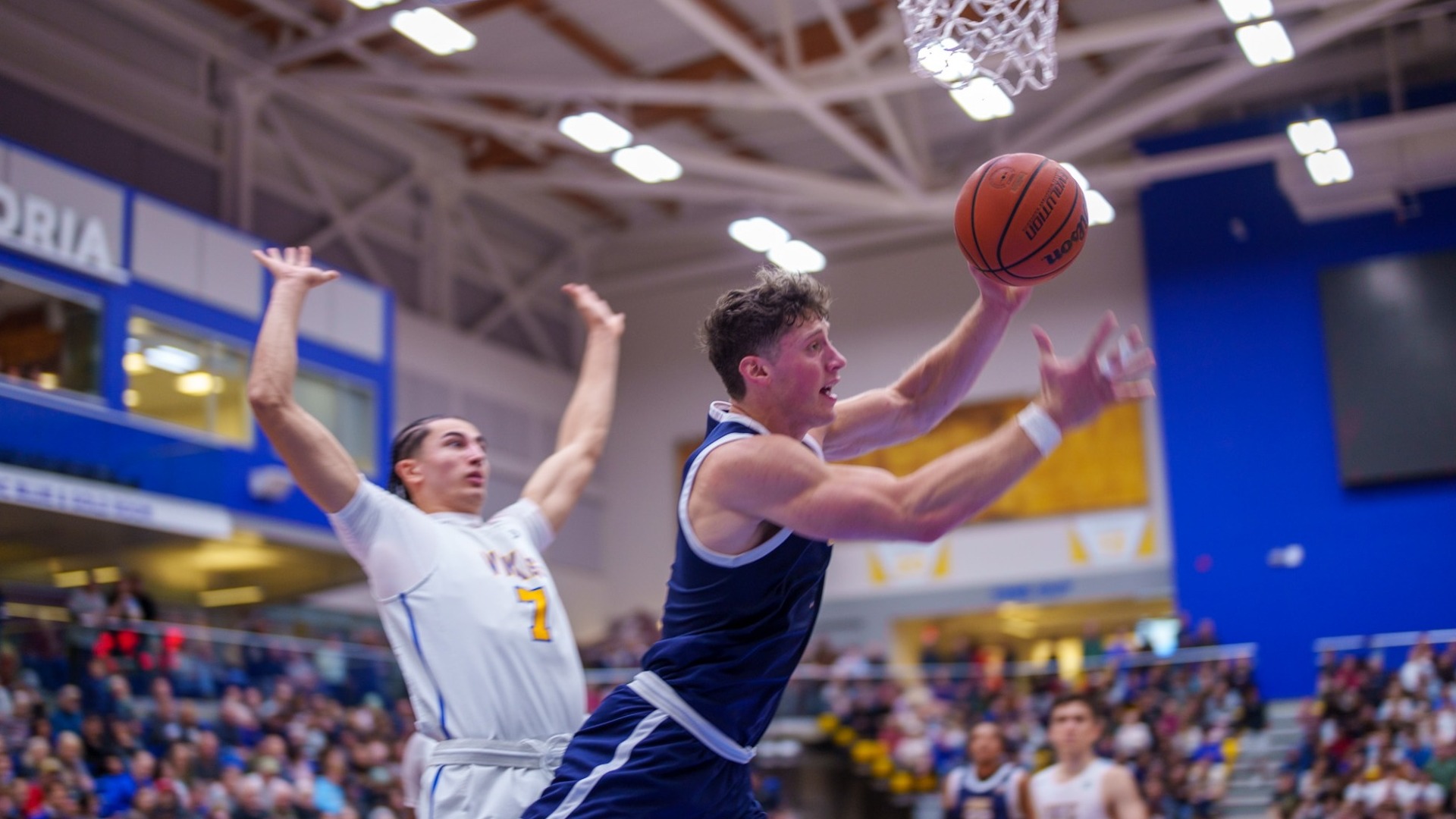 Brian Wallack - Men's Basketball - University of British Columbia Athletics