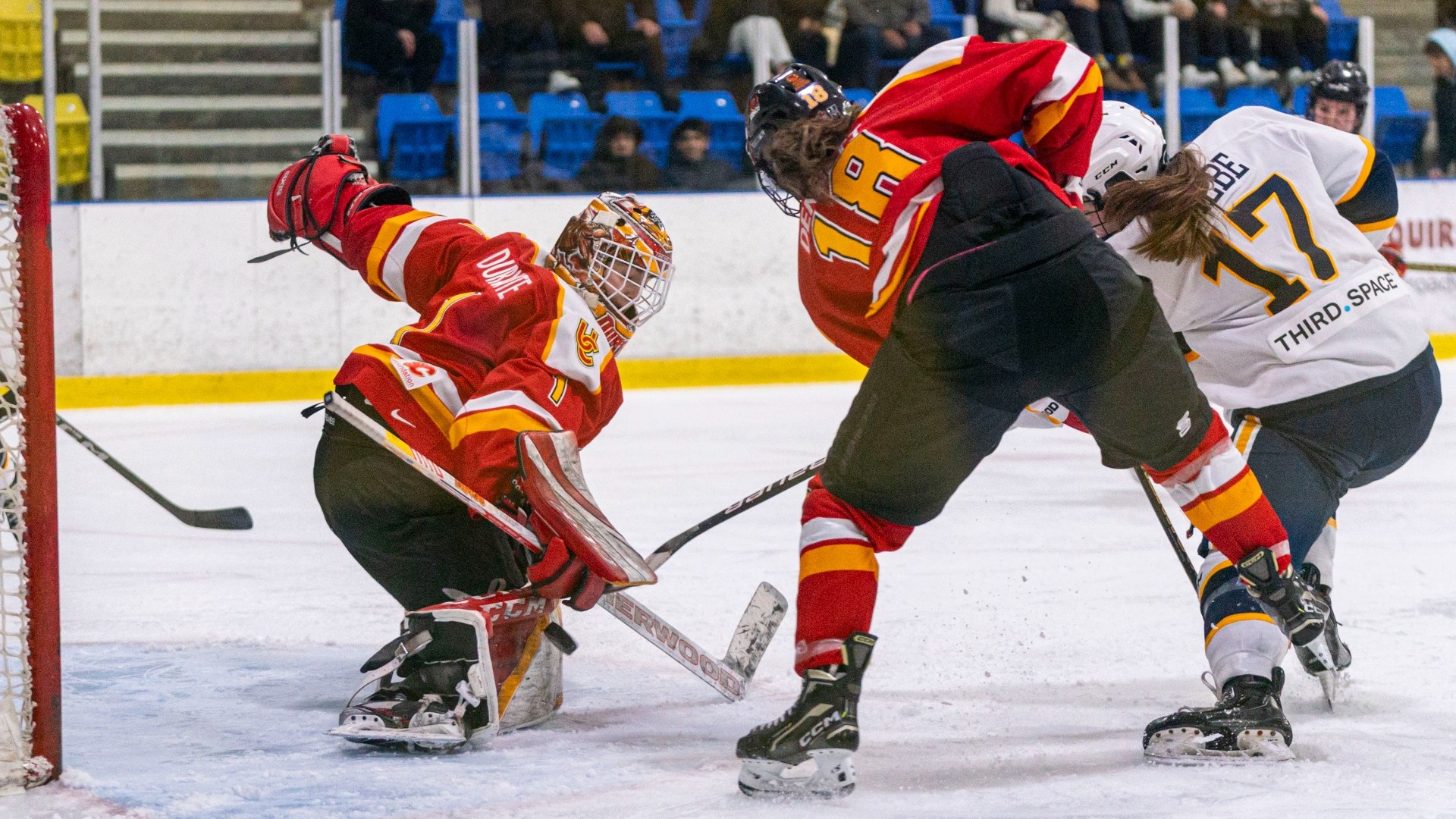 Thunderbirds' 14-game point streak snapped by Dinos - University of ...