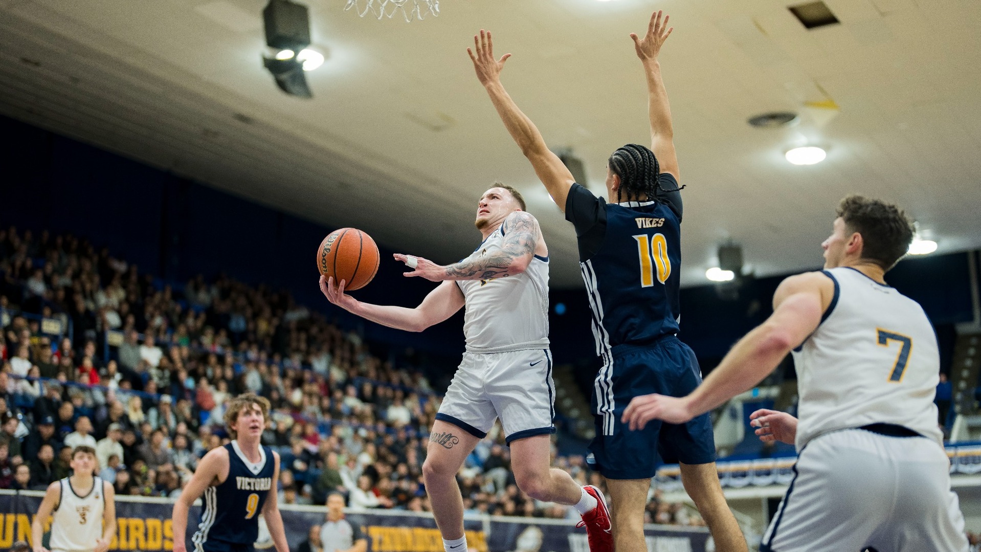 James Woods - Men's Basketball - University of British Columbia Athletics