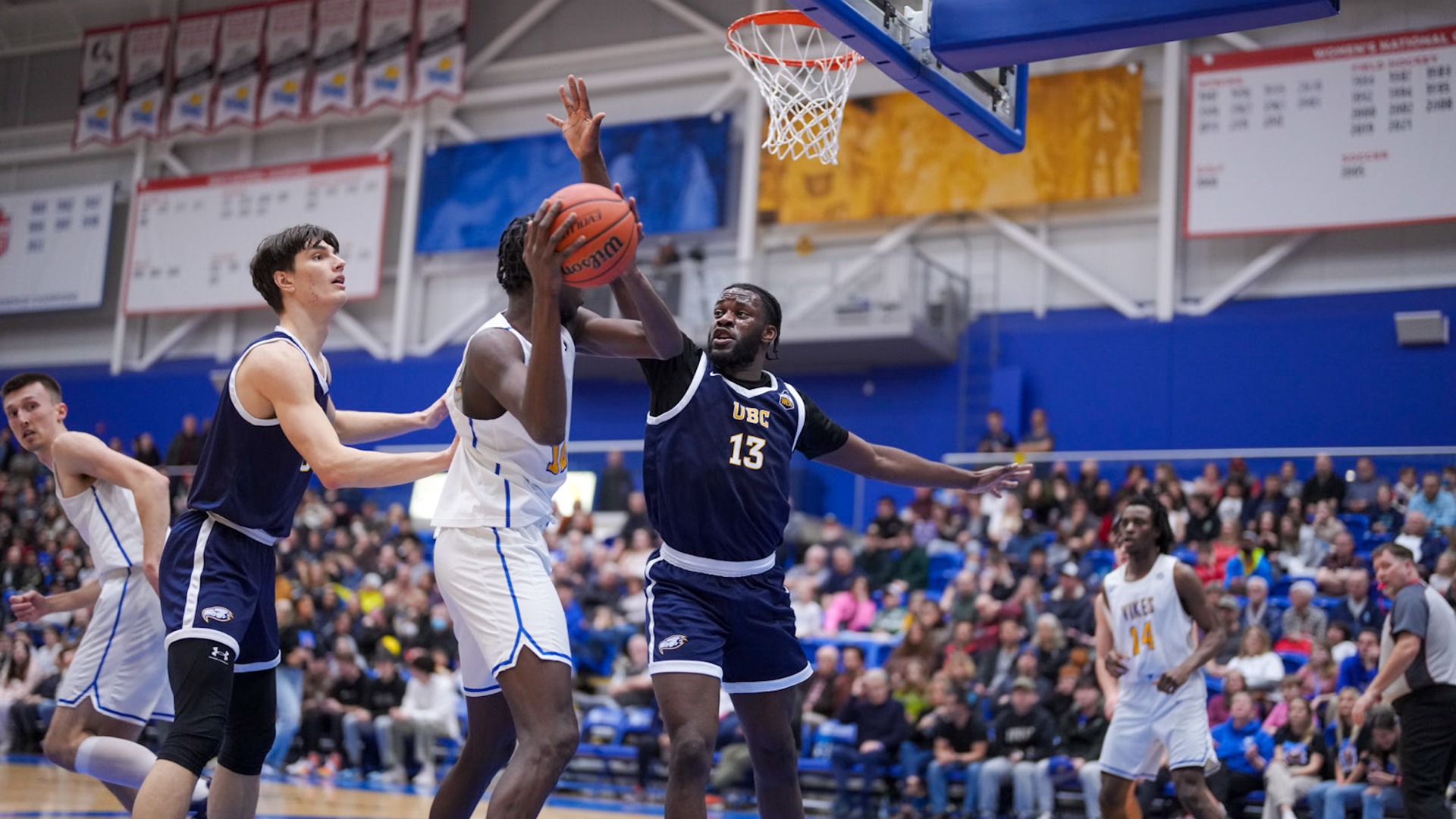 'Birds Drop Regular Season Finale To Vikes In an OT Thriller ...