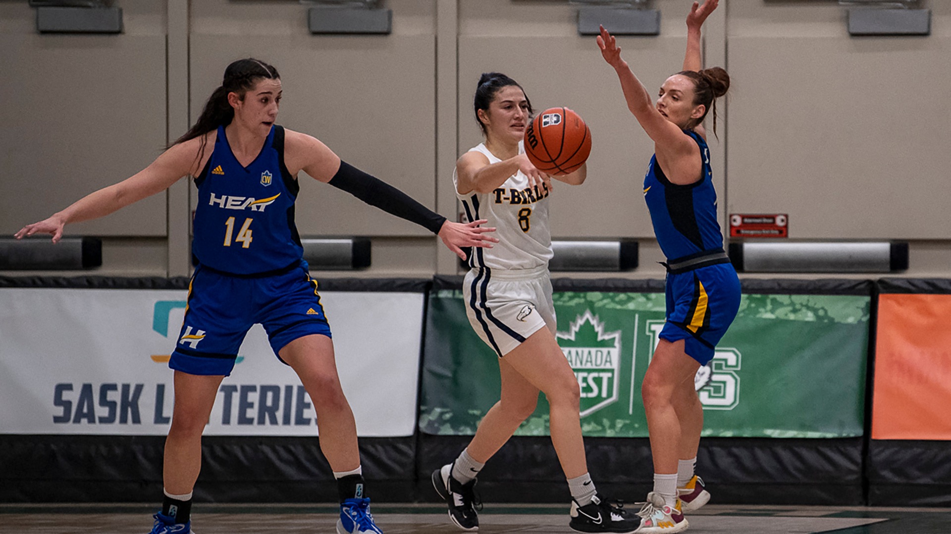Sara Toneguzzi - Women's Basketball - University of British Columbia ...
