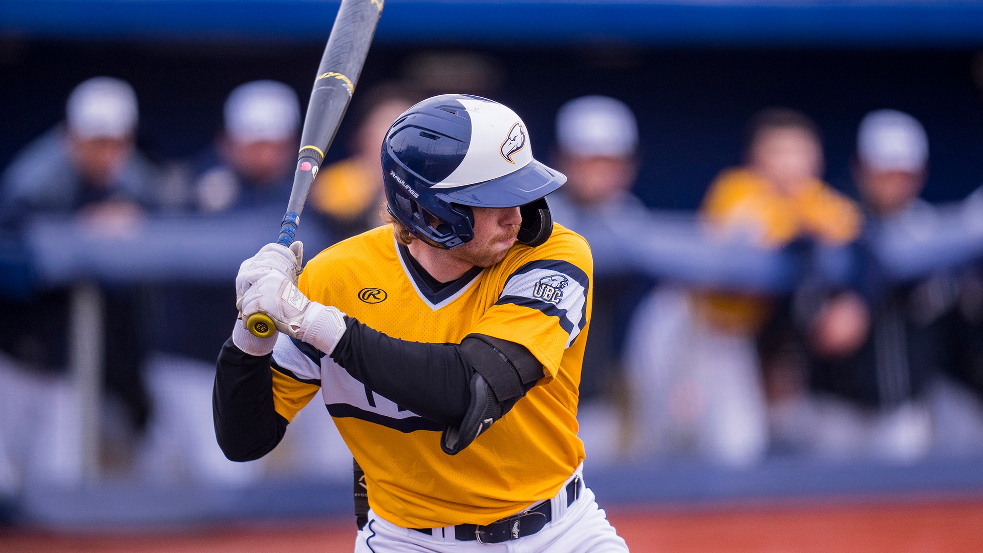Brandon Hupe - Baseball - University of British Columbia Athletics