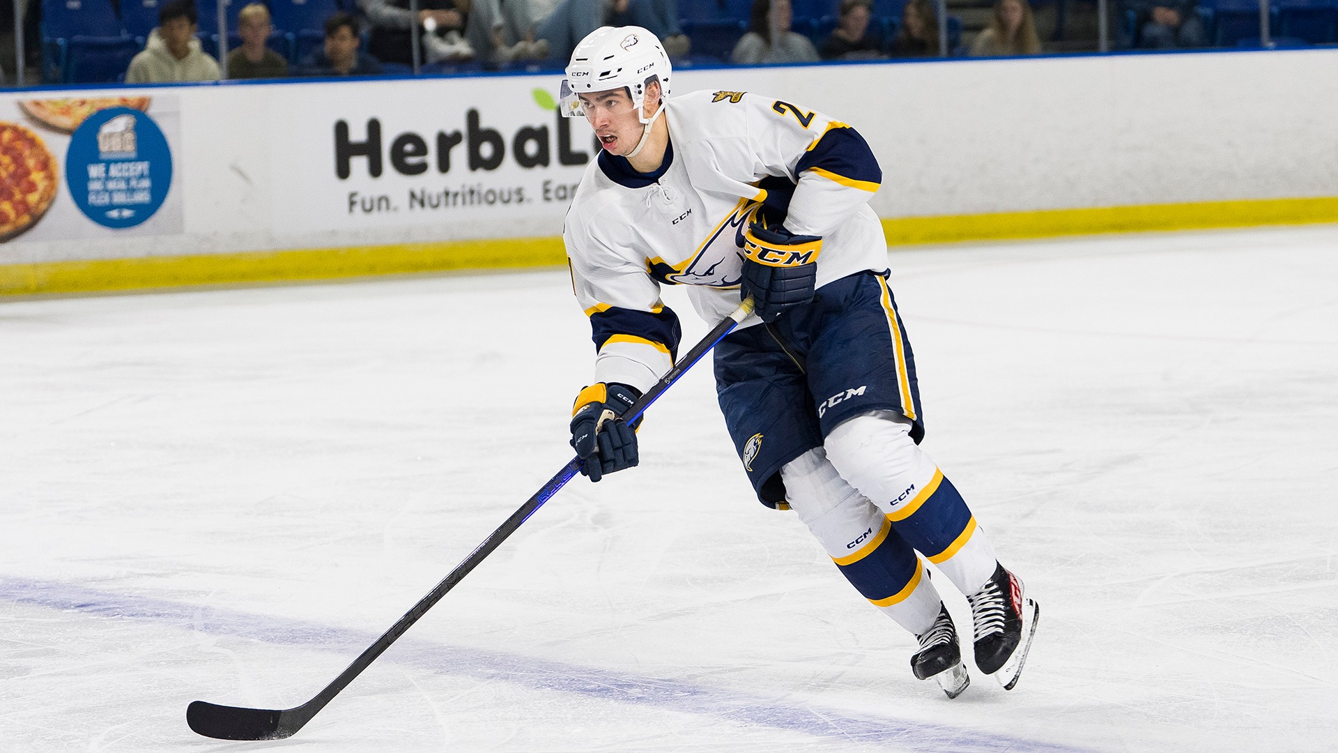 Sam Huo’s four point night leads ‘Birds to tenth straight win ...