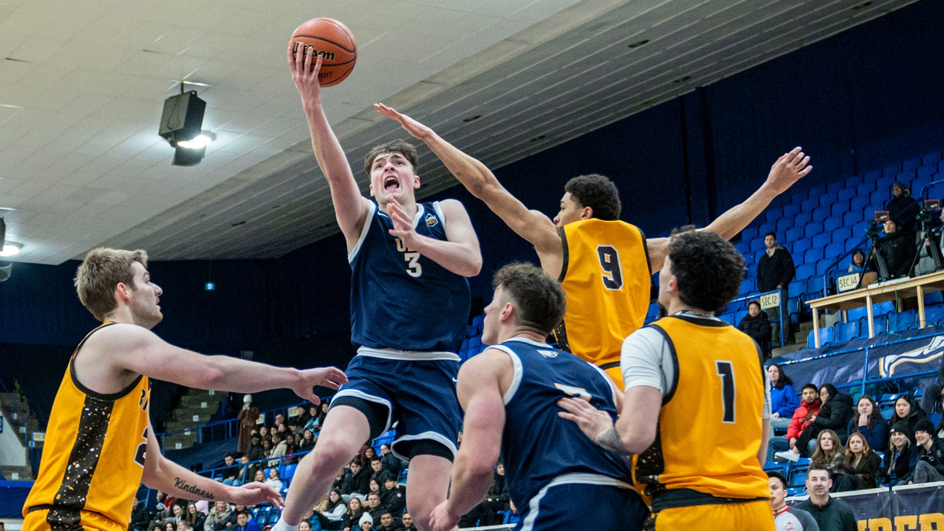 T-Birds topple Bisons to earn weekend sweep - University of British ...