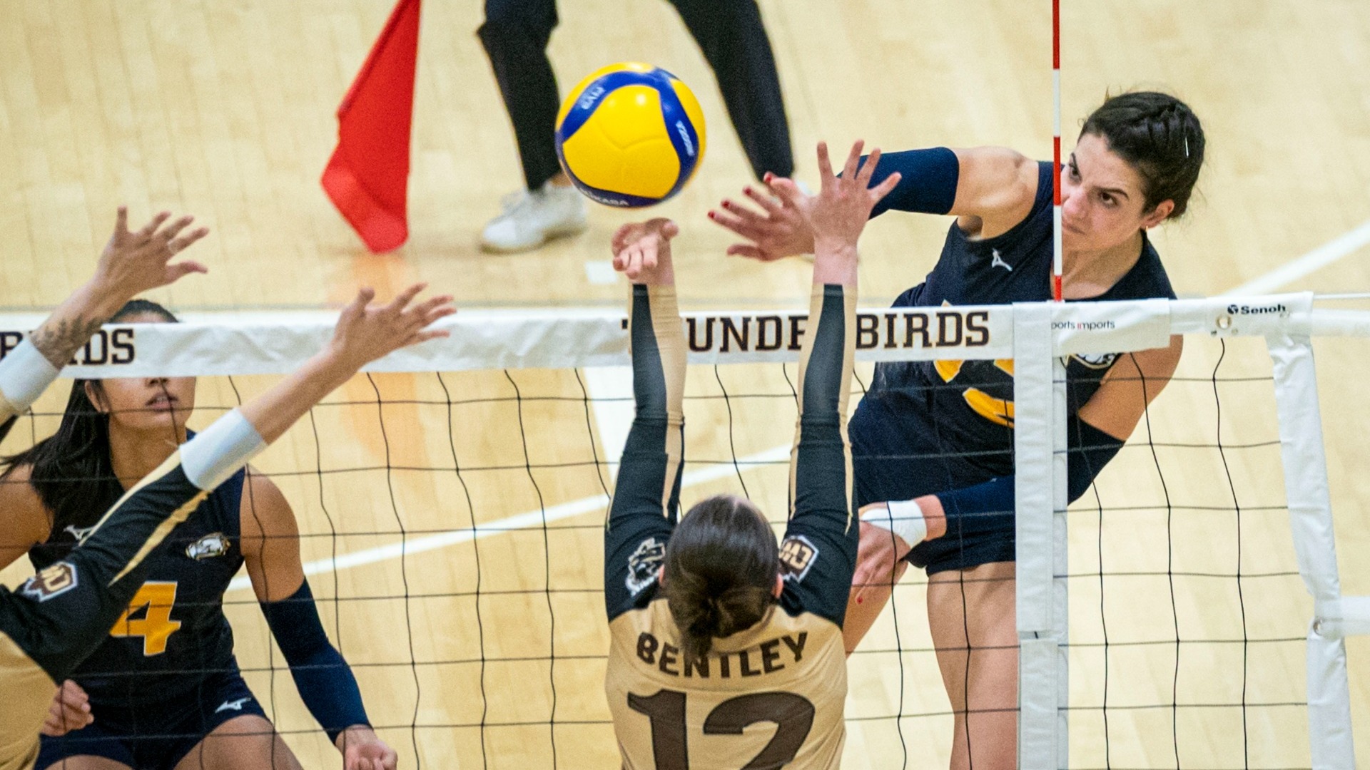 Katarina Pantovic - Women's Volleyball - University of British Columbia ...