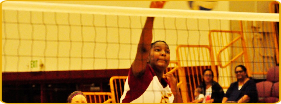 Taryn McCullouch - Volleyball - Cal State Dominguez Hills Athletics