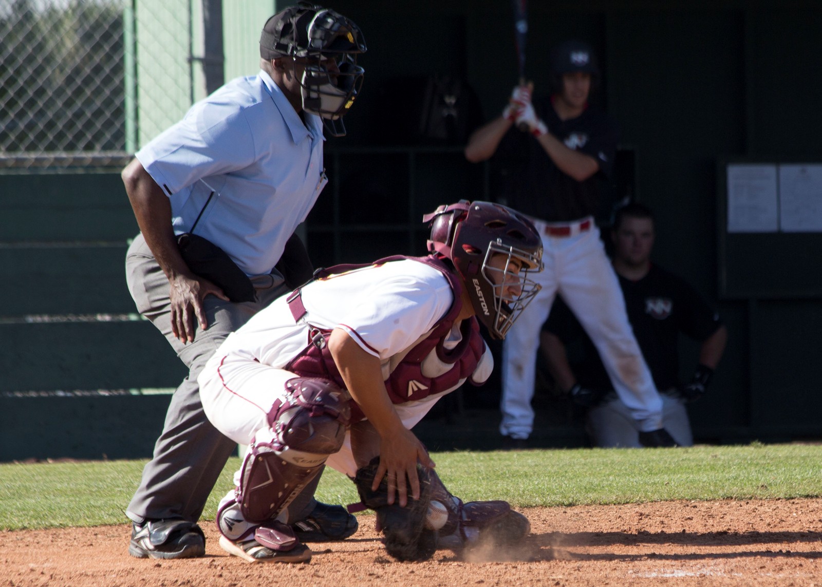 Rico Pena - Baseball - Cal State Dominguez Hills Athletics