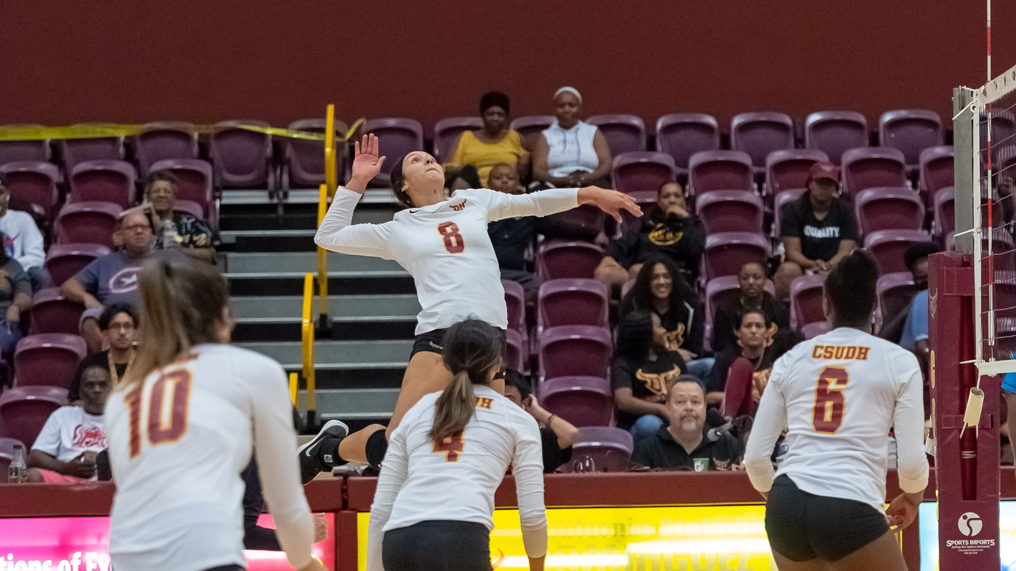 Marissa Weber - Volleyball - Cal State Dominguez Hills Athletics
