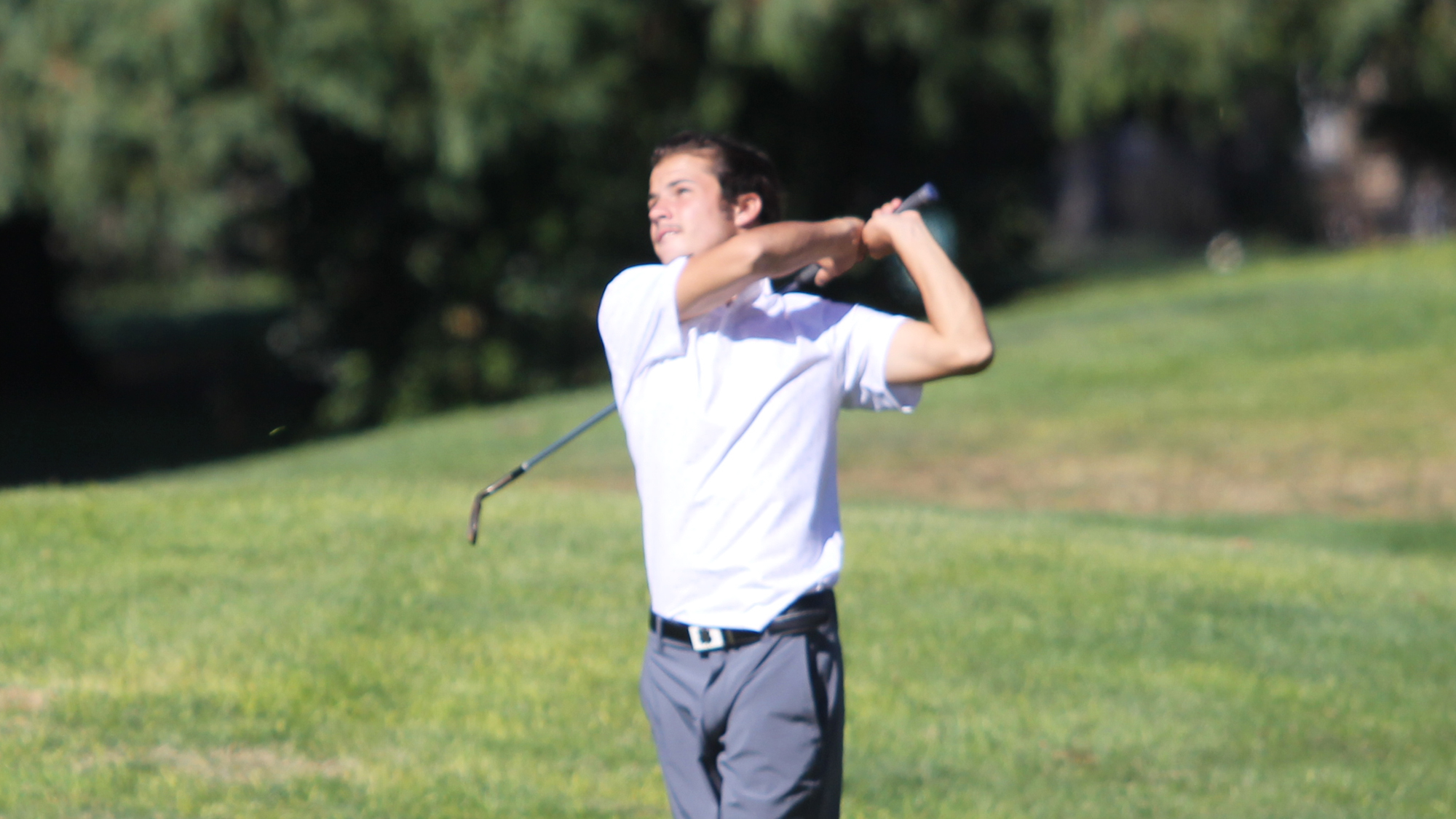 Dylan Hall - Men's Golf - Cal State Dominguez Hills Athletics