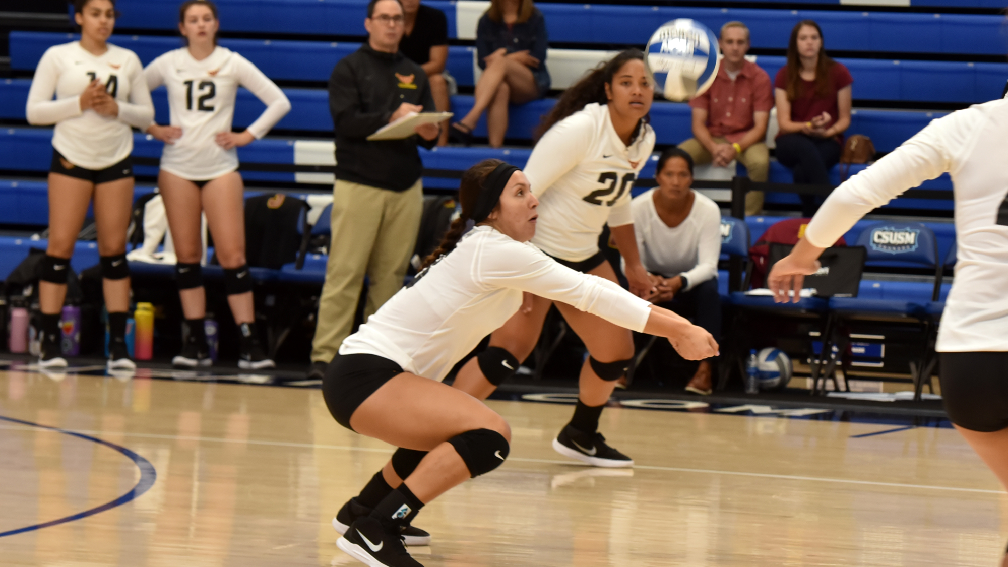 Marissa Weber - Volleyball - Cal State Dominguez Hills Athletics