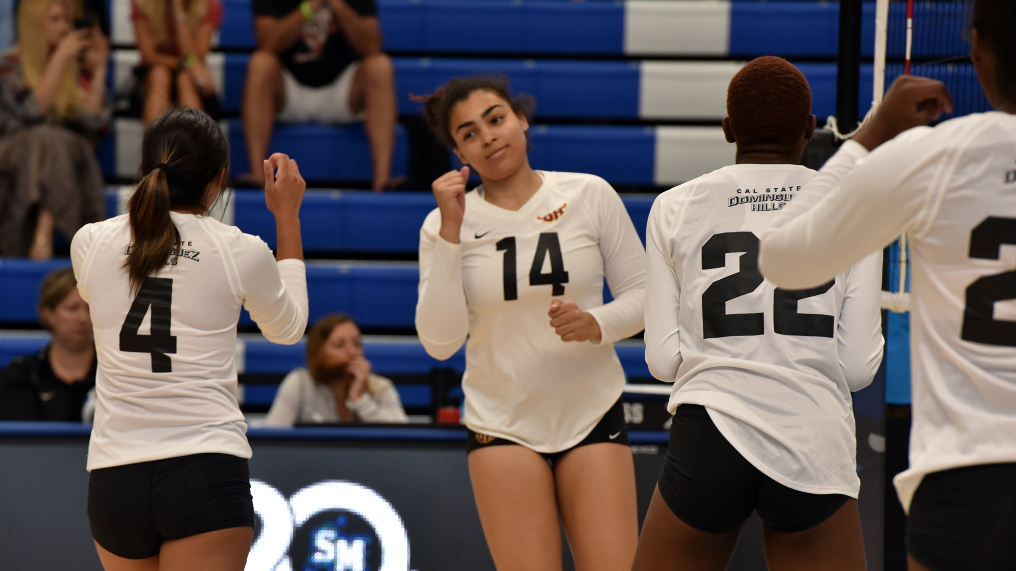 Rylee Brown - Volleyball - Cal State Dominguez Hills Athletics