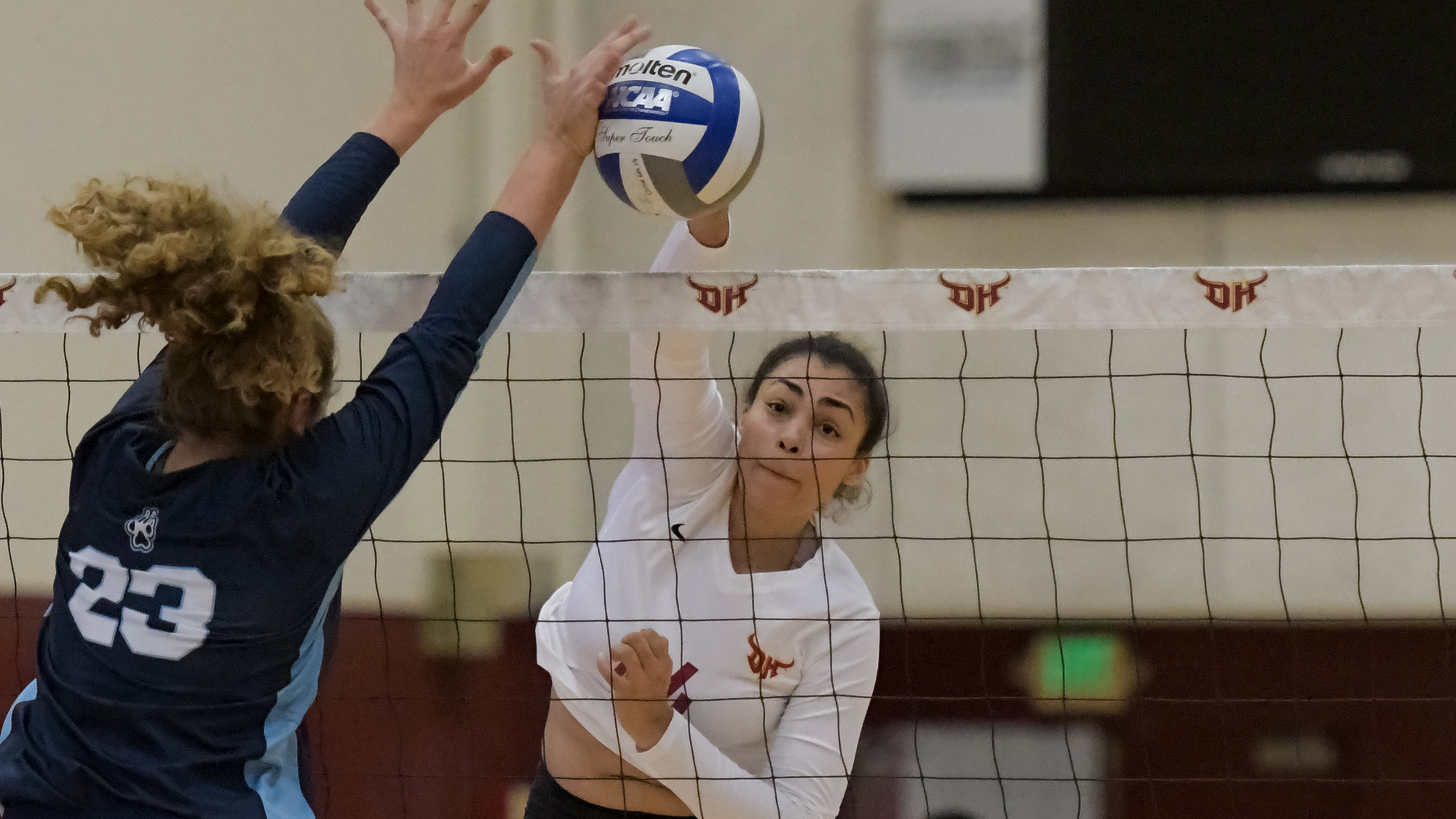 Rylee Brown - Volleyball - Cal State Dominguez Hills Athletics