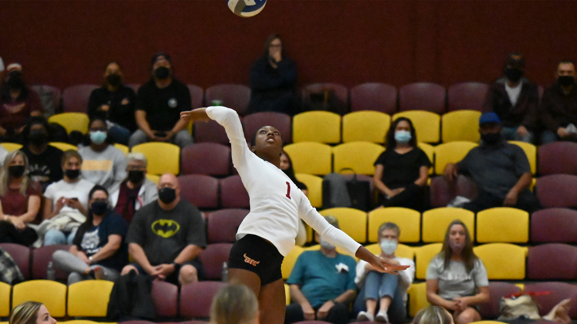 Coco Ikpe - Volleyball - Cal State Dominguez Hills Athletics