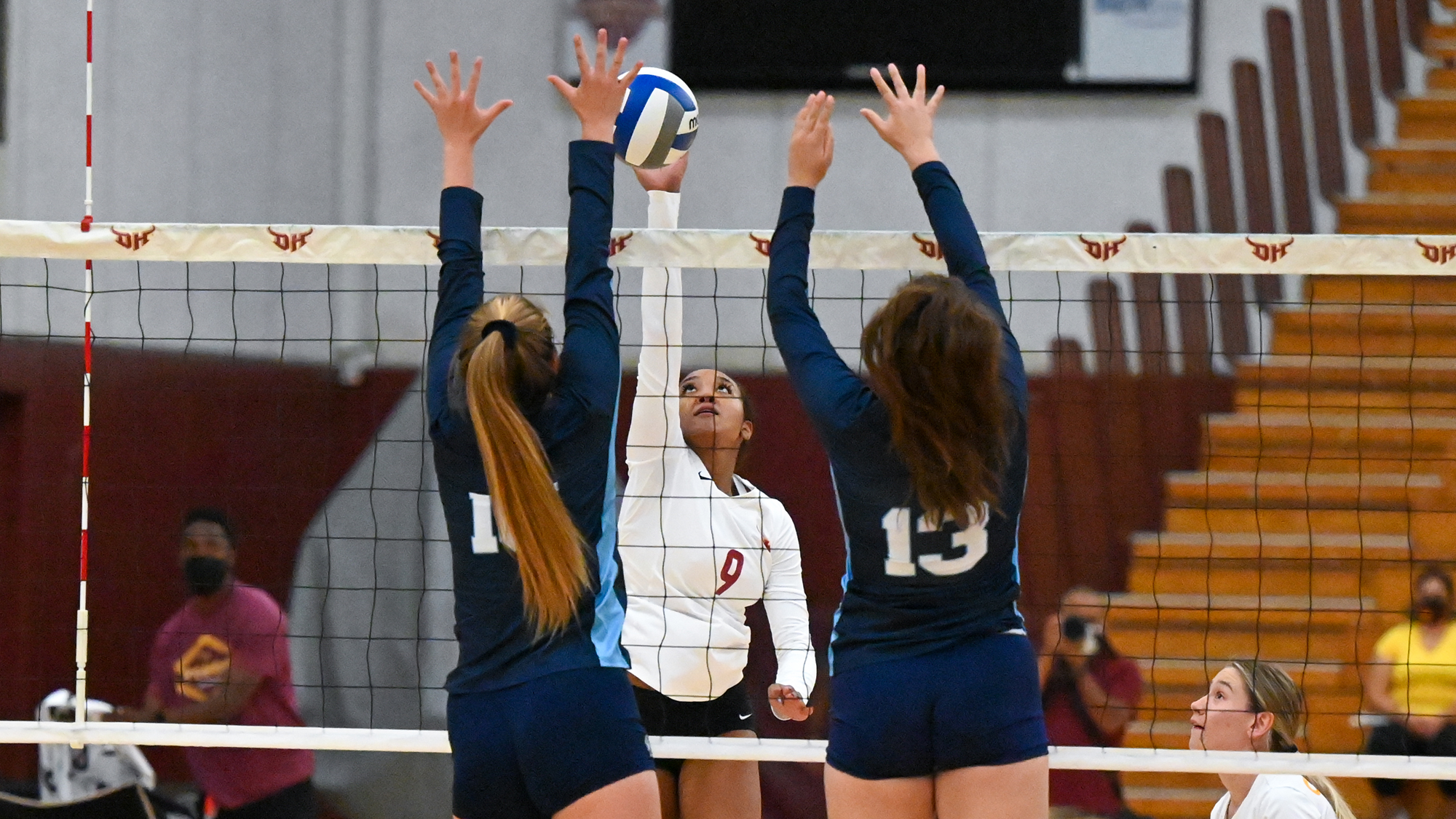 Renee Wheeler - Volleyball - Cal State Dominguez Hills Athletics
