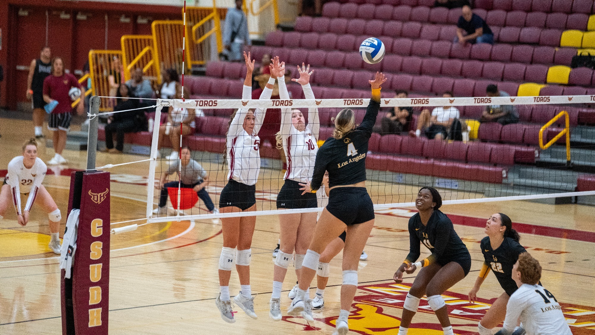Toros Topped By CSULA In Straights - Cal State Dominguez Hills Athletics
