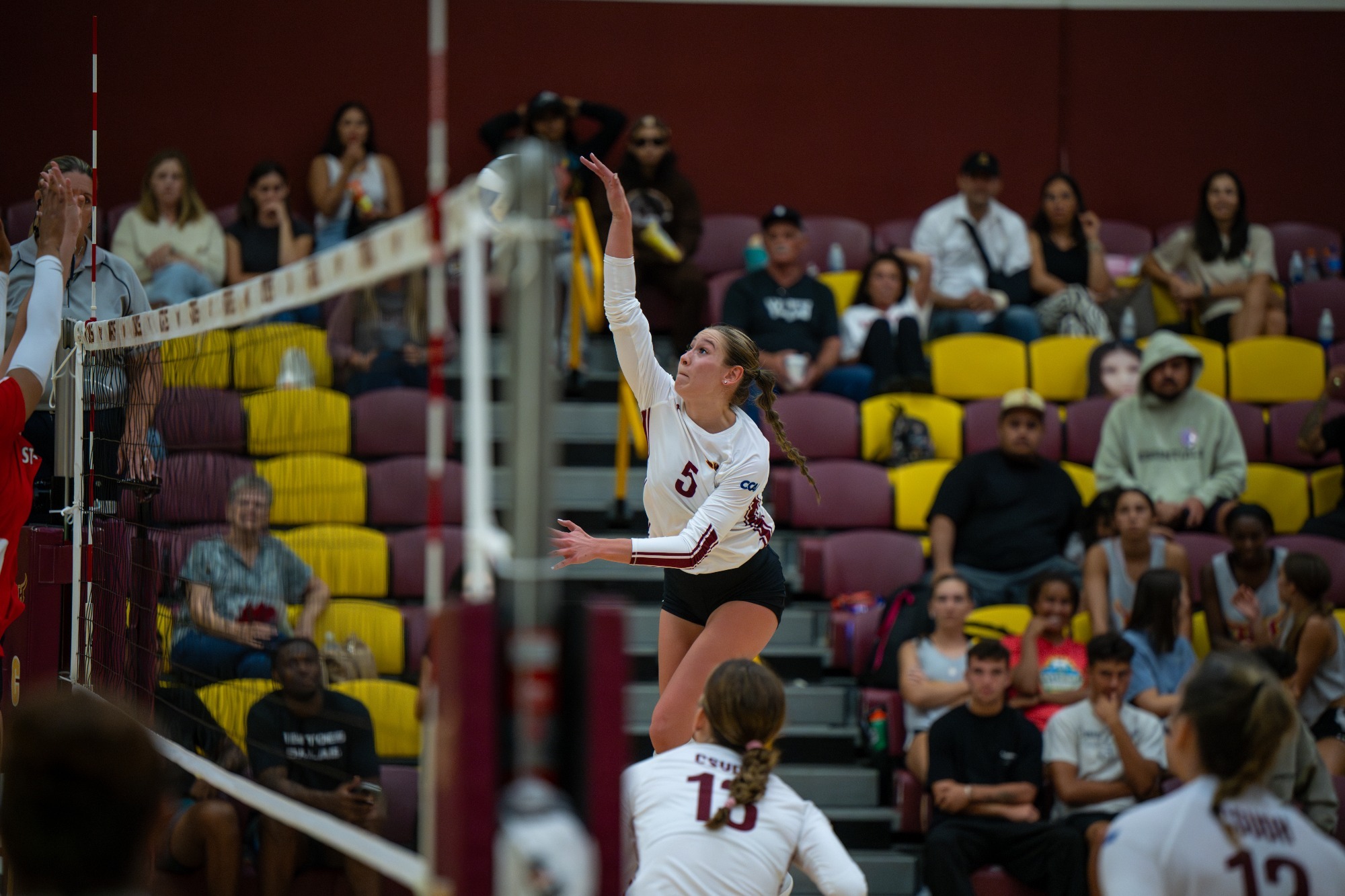 Toros Defeat Chico State In Straight Sets - Cal State Dominguez Hills ...