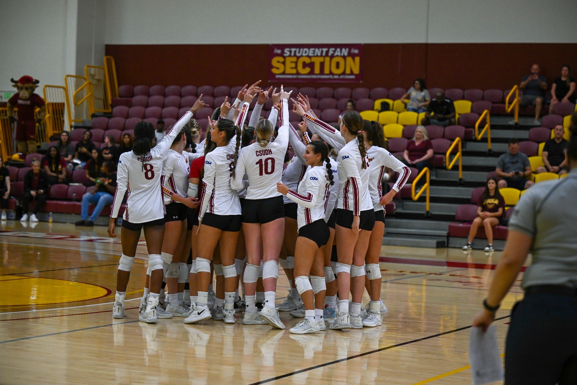 Toros Fall To No. 18 Cal Poly Pomona, 3-0 - Cal State Dominguez Hills ...
