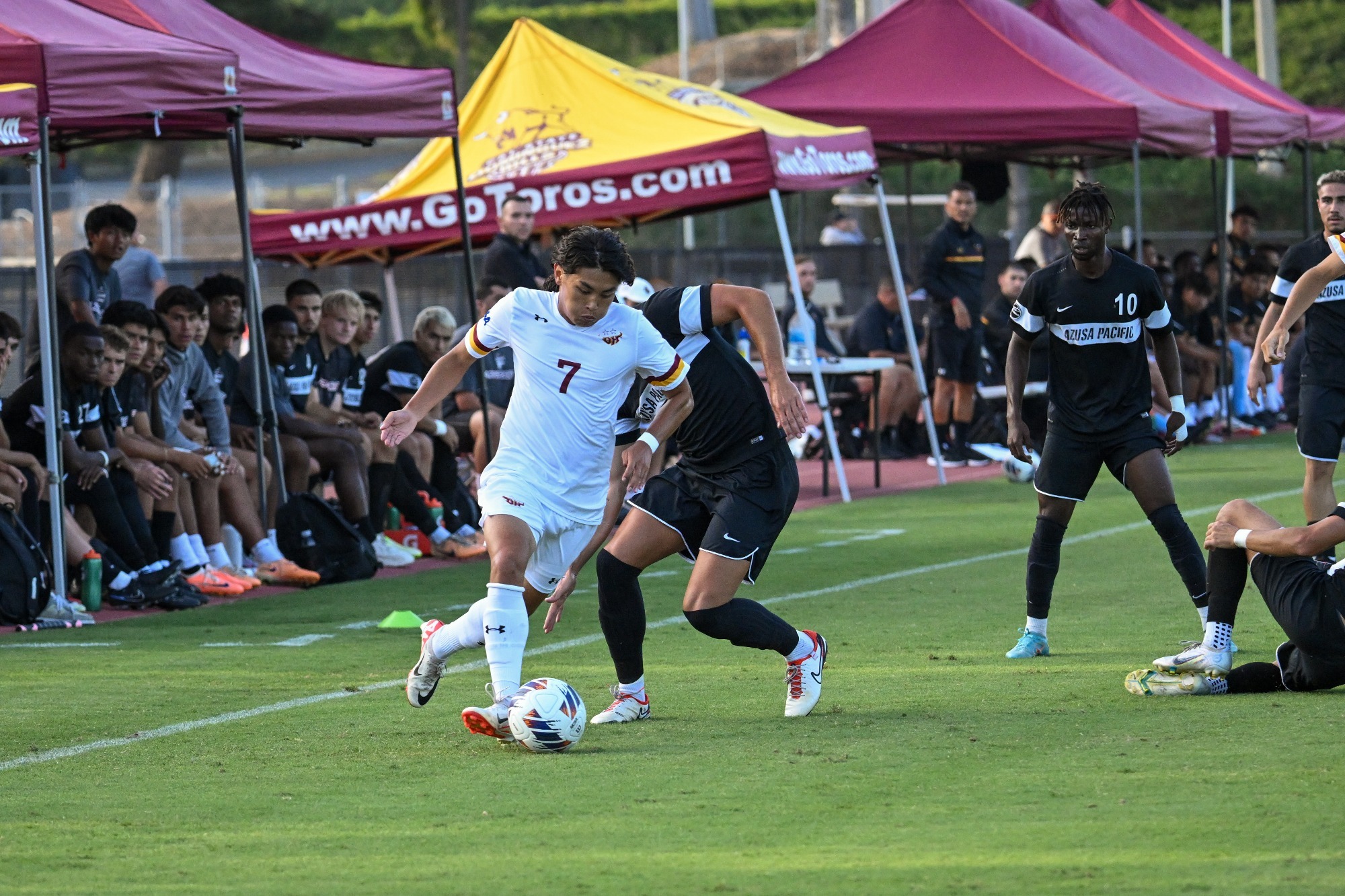 Brandon Lee - Men's Soccer - Cal State Dominguez Hills Athletics