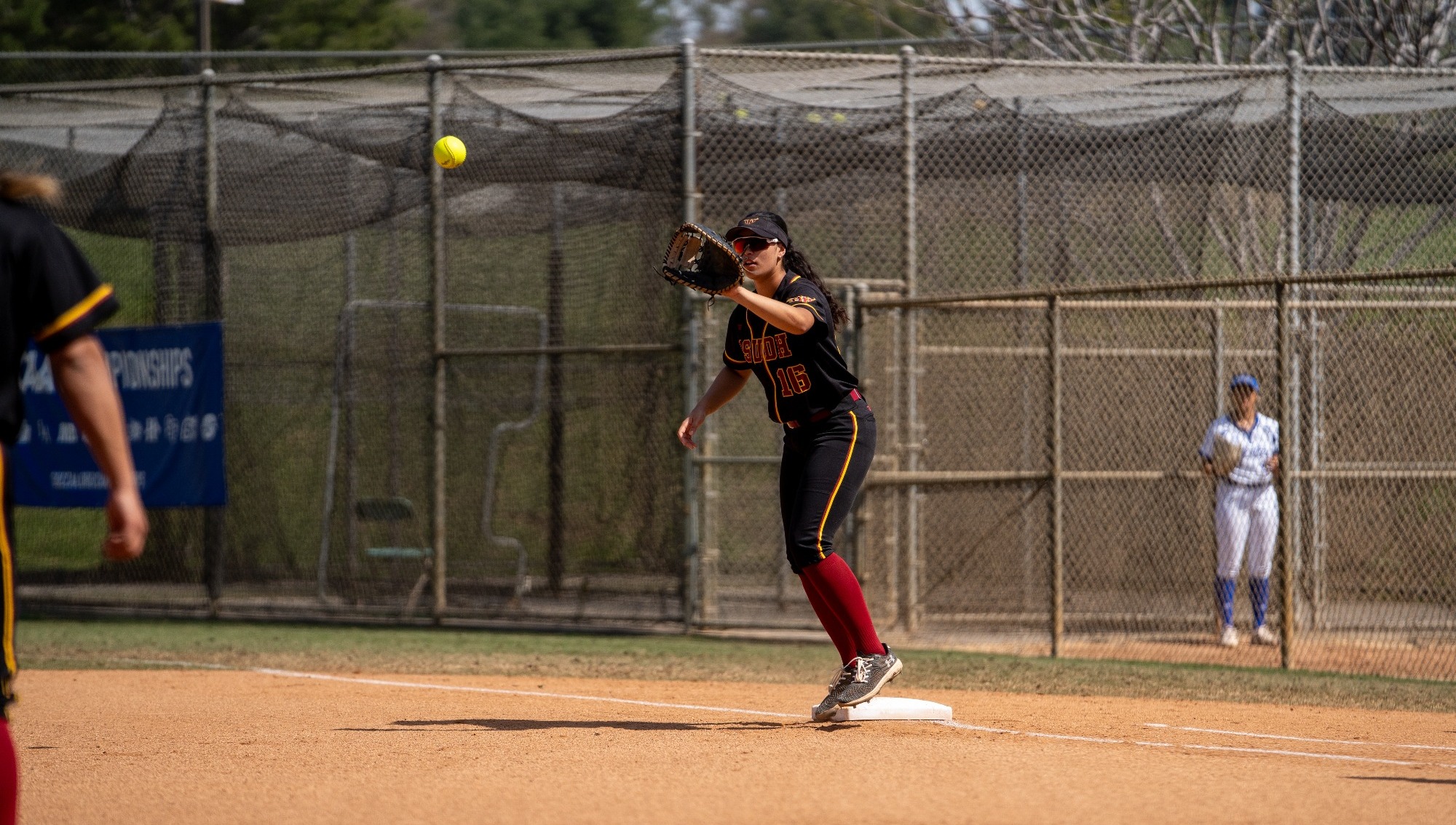Toros Split Day With San Francisco State Gators - Cal State Dominguez ...