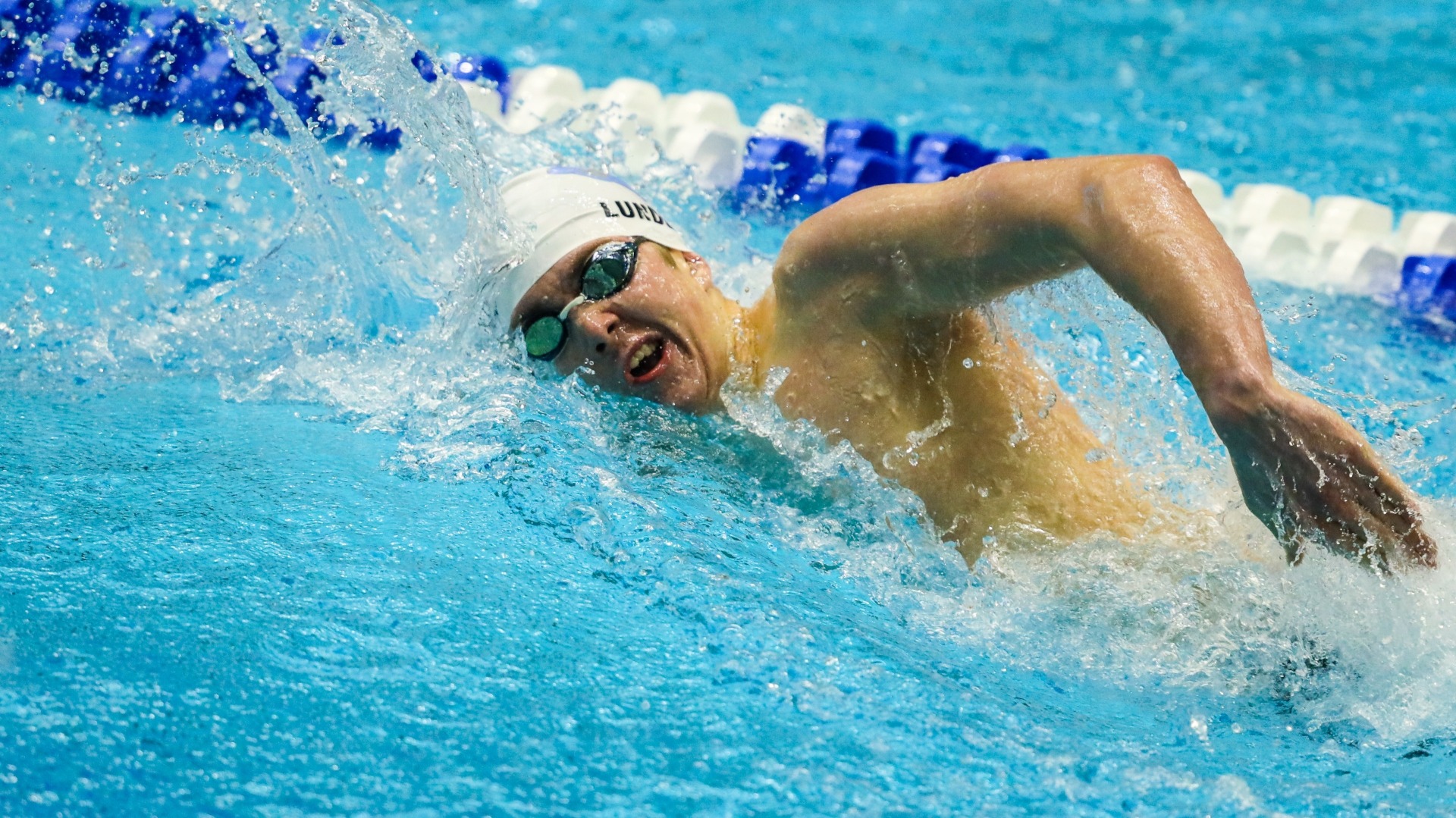 Mens Swimming And Diving Sweeps Tri Meet Versus Hamilton And Rpi Tufts University