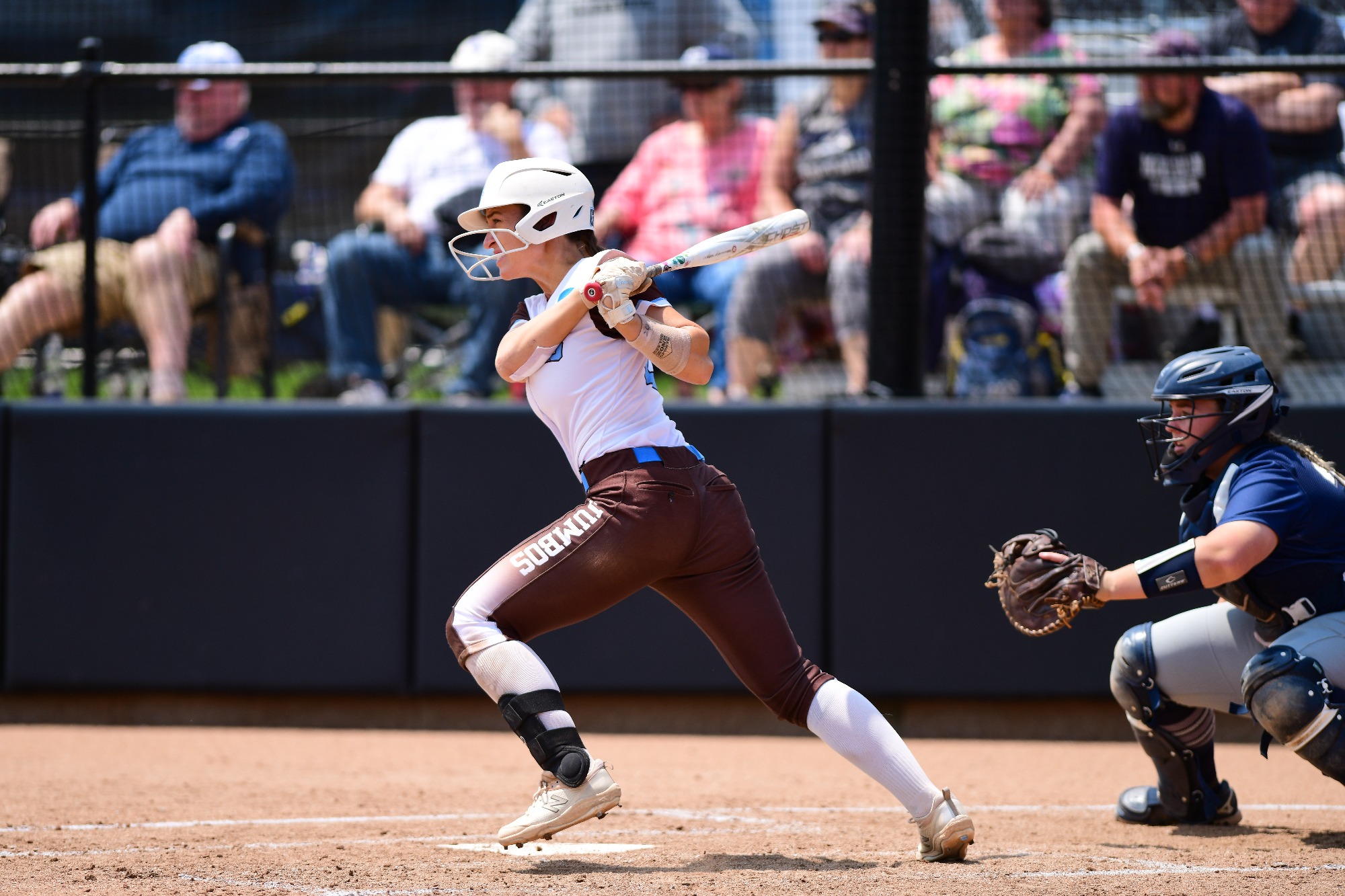 2024 Tufts University Softball Season Preview - Tufts University