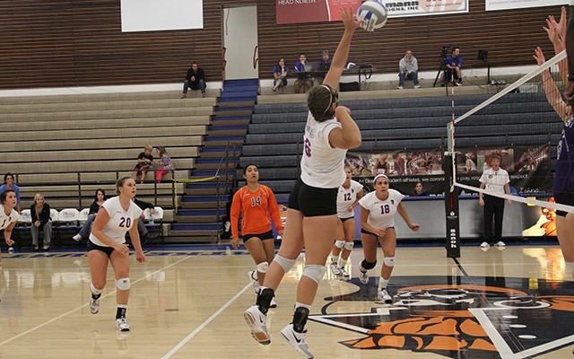 Morgan Dake - 2014 - Women's Volleyball - University of Mary Athletics