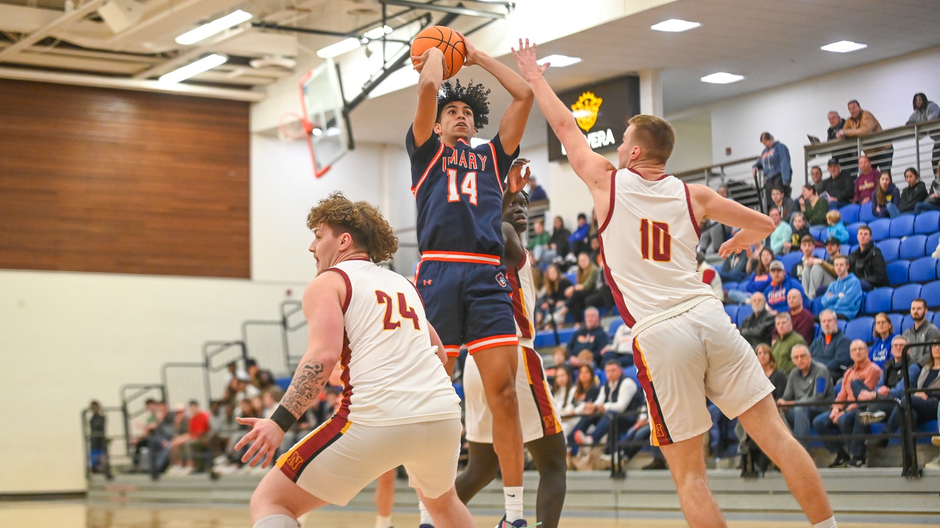 Ty Rogers - 2024-25 - Men's Basketball - University of Mary Athletics