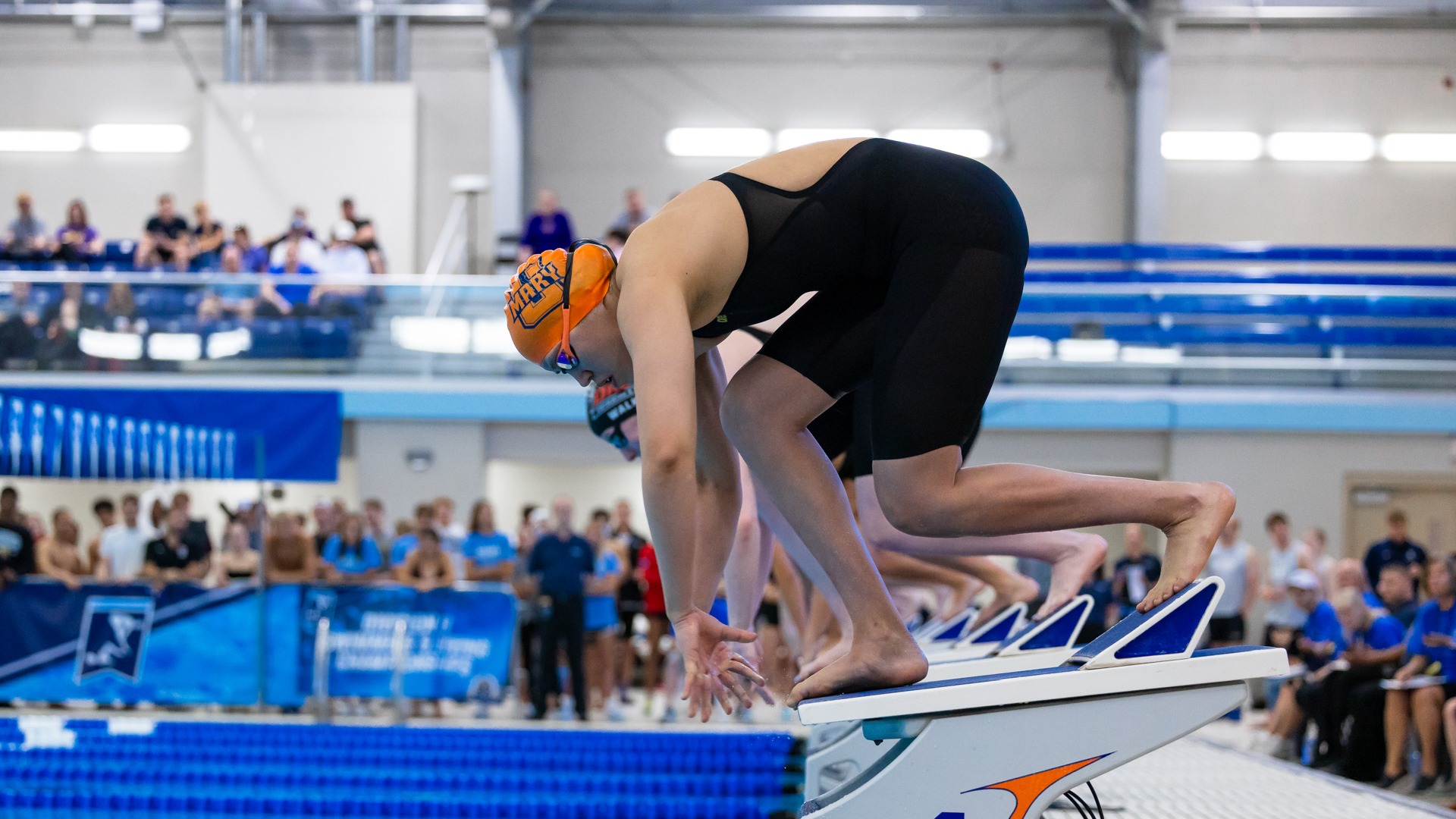 Murillo places 19th on day two of the 2024 NCAA Swimming & Diving Championships - University of ...