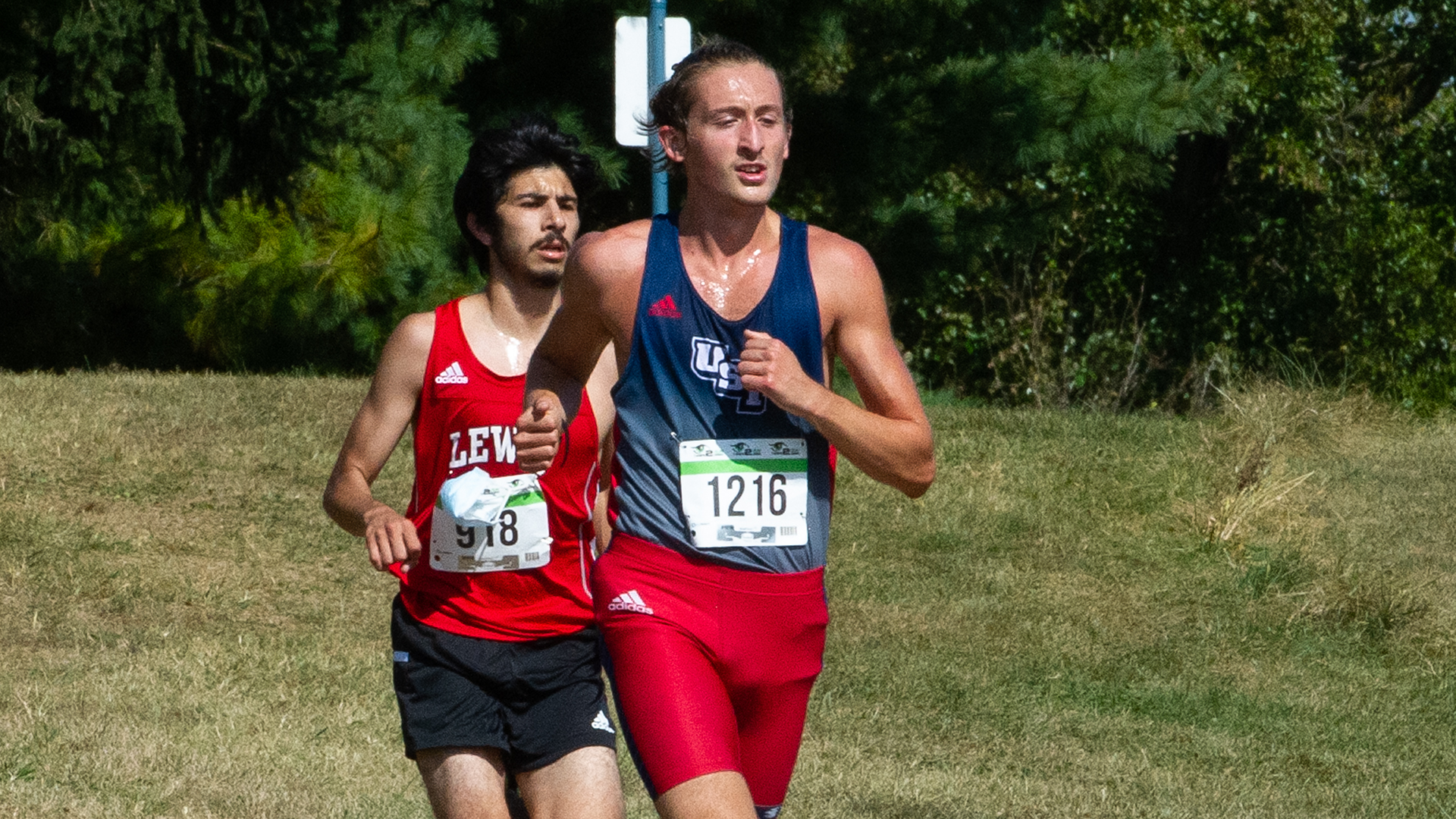 Matthew Scales - 2021 - Men's Cross Country - University of Southern ...