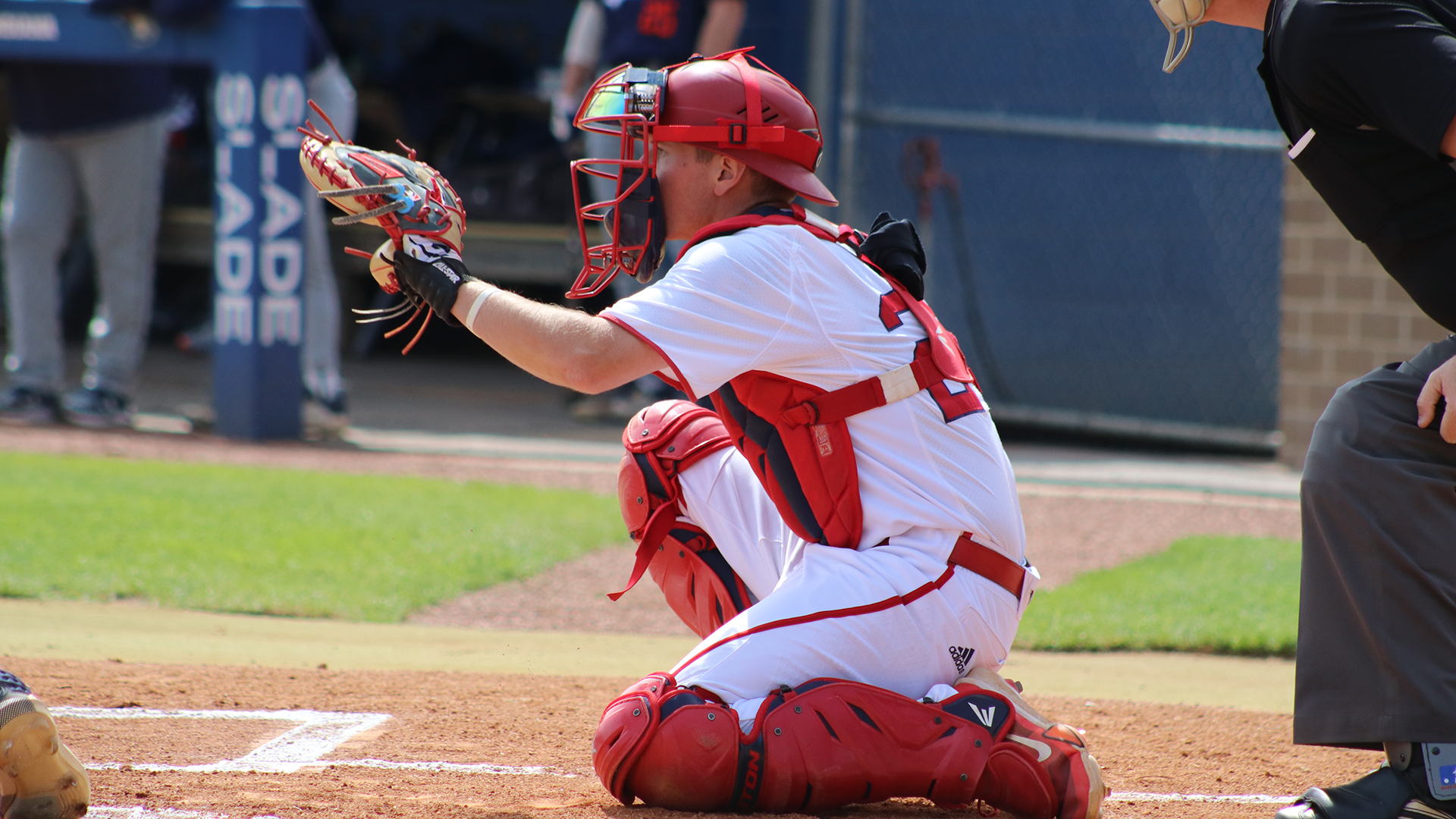 Logan Mock - 2024 - Baseball - University of Southern Indiana Athletics