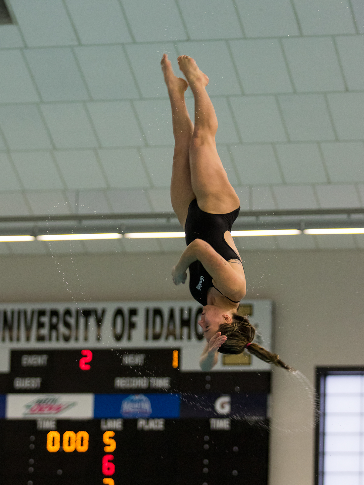 Hailey Kessler - Women's Swimming and Diving - University of Idaho ...