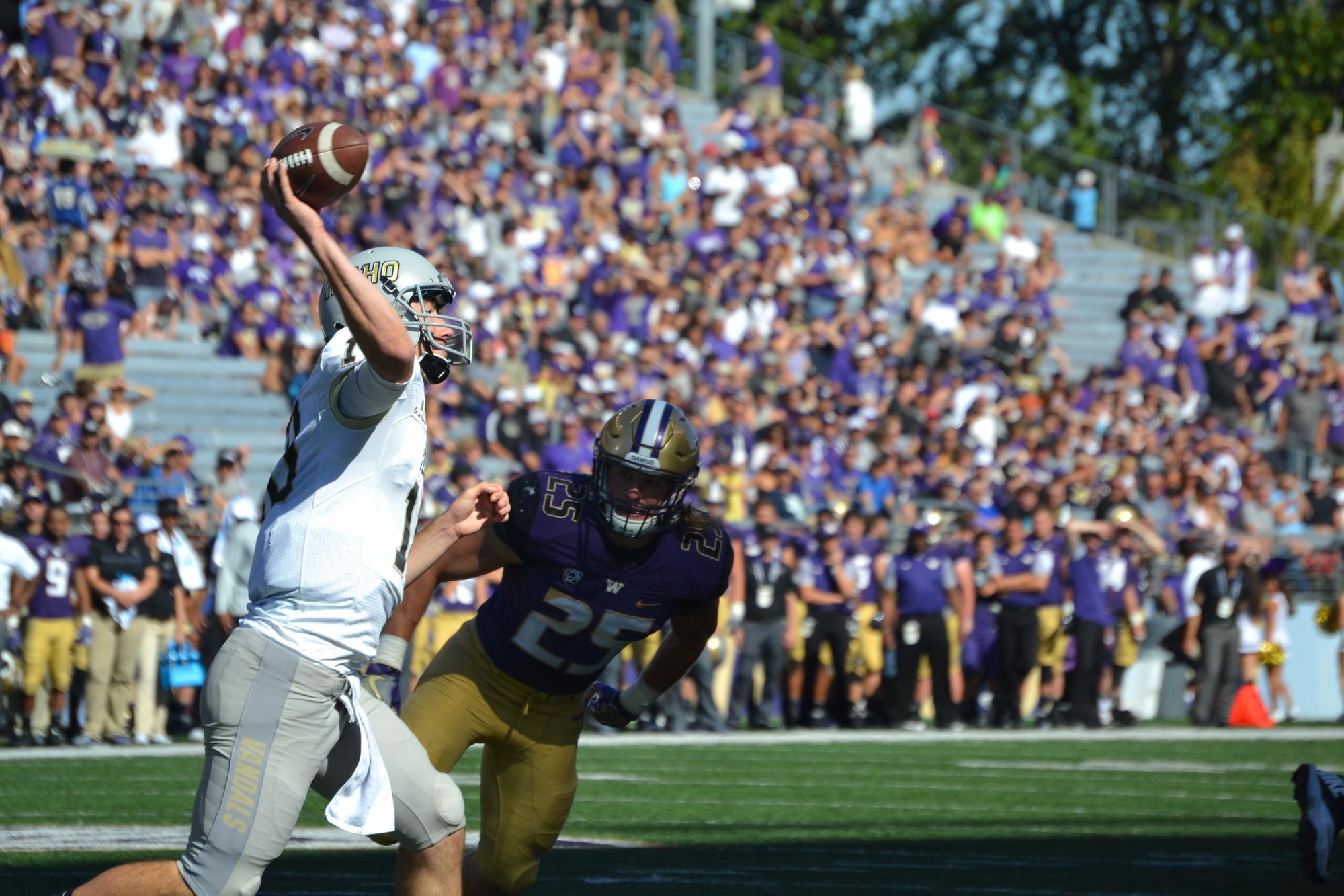 Matt Linehan - Football - University of Idaho Athletics