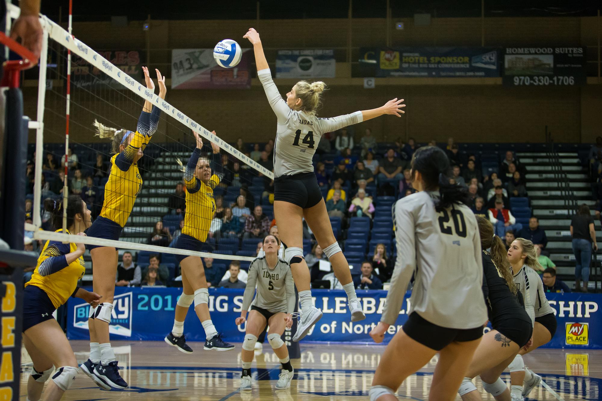 DeVonne Ryter - Volleyball - University of Idaho Athletics