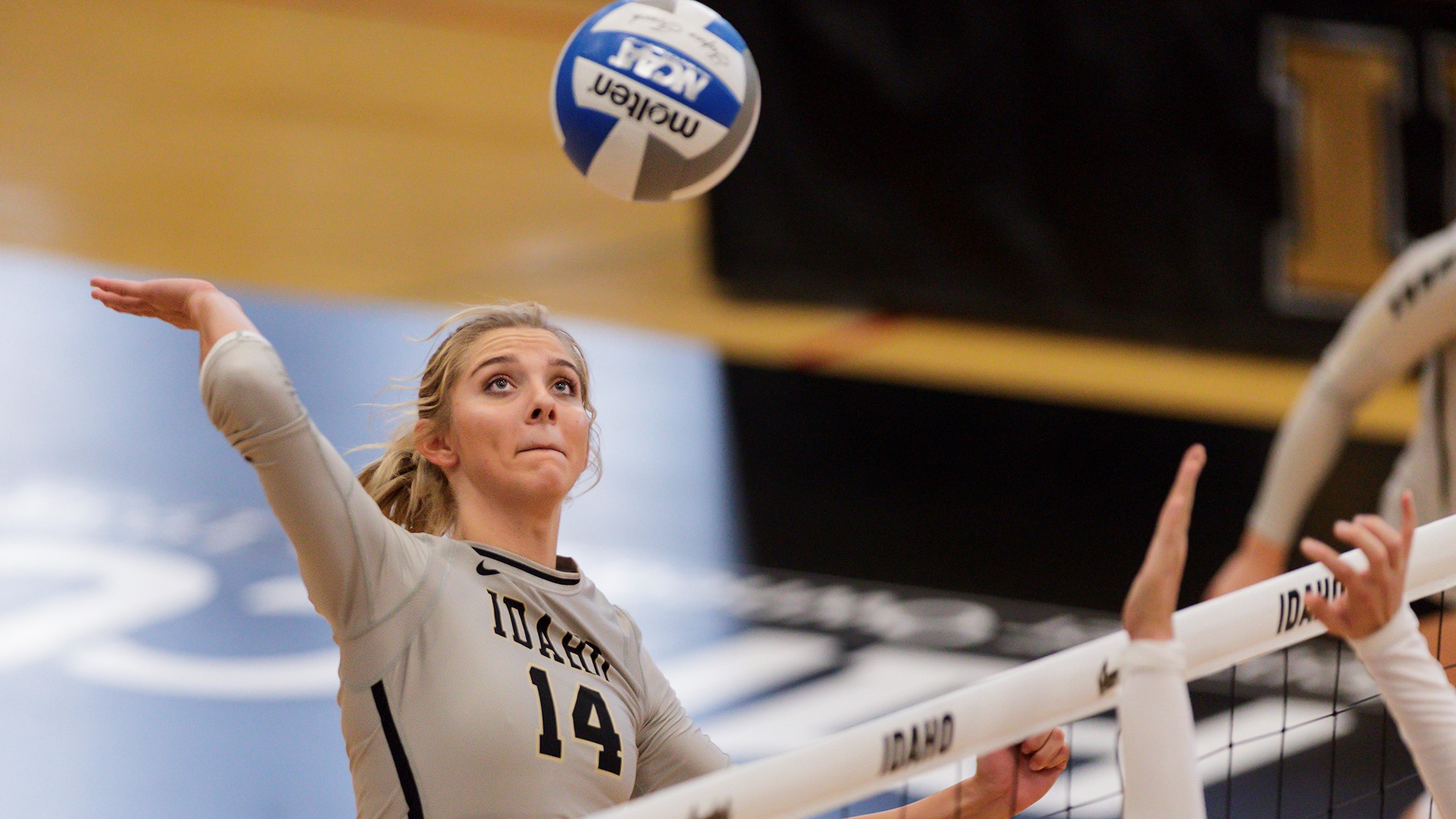 DeVonne Ryter - Volleyball - University of Idaho Athletics