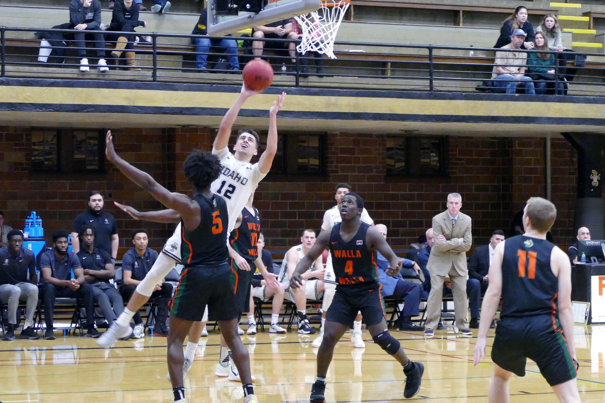 Chance Garvin - Men's Basketball - University of Idaho Athletics