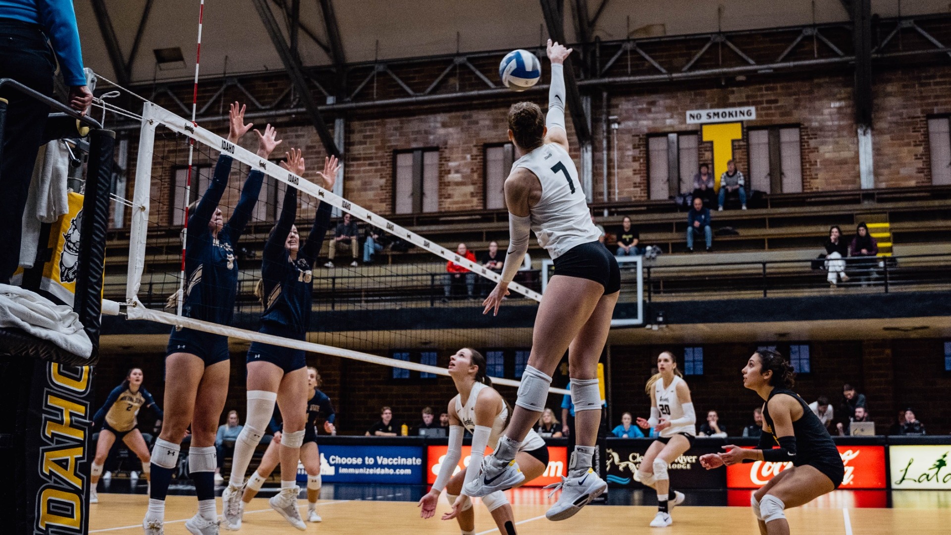 Volleyball Finalizes 2025 Spring Schedule - University of Idaho Athletics