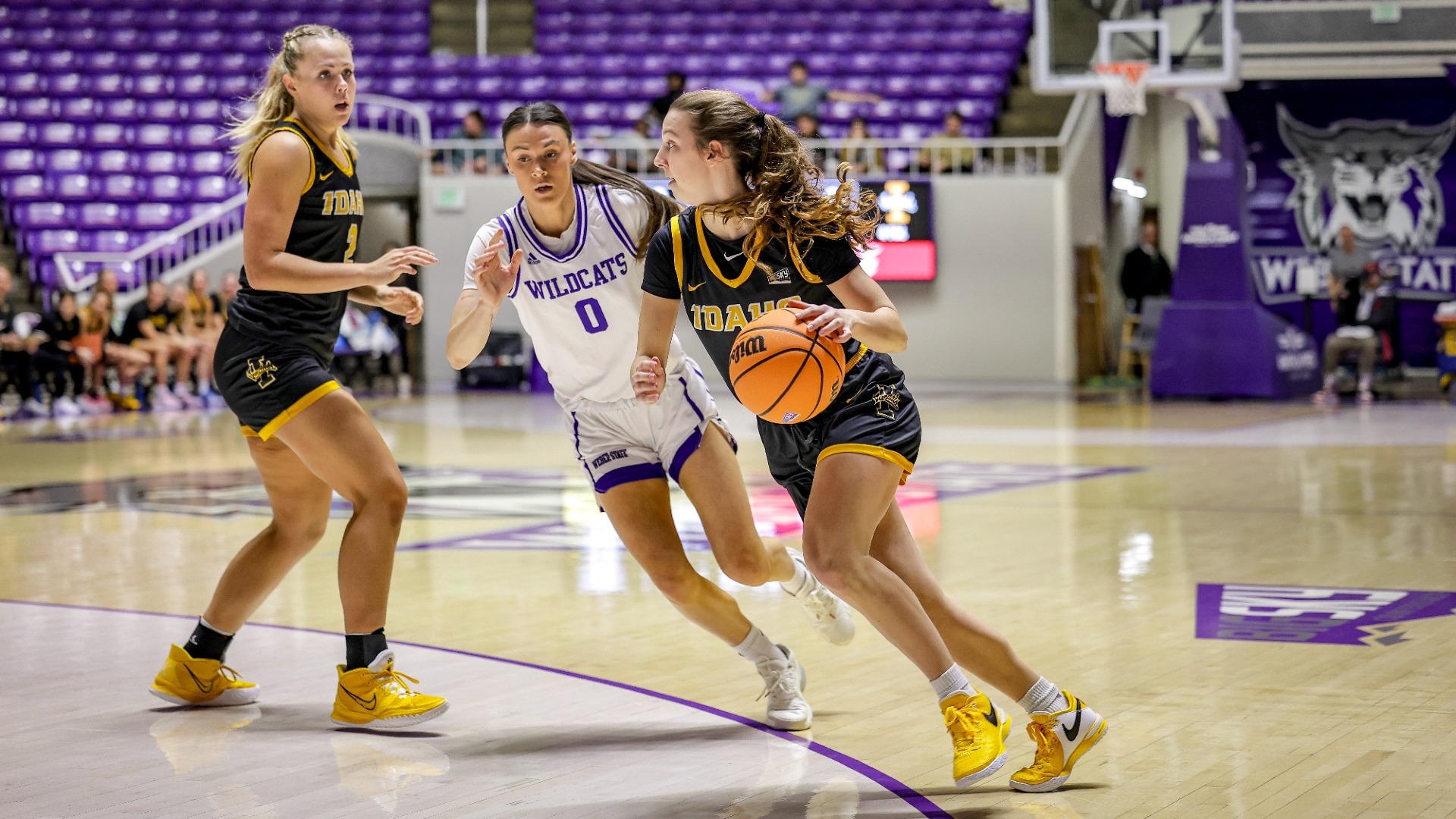 Sarah Schmitt - Women's Basketball - University of Idaho Athletics