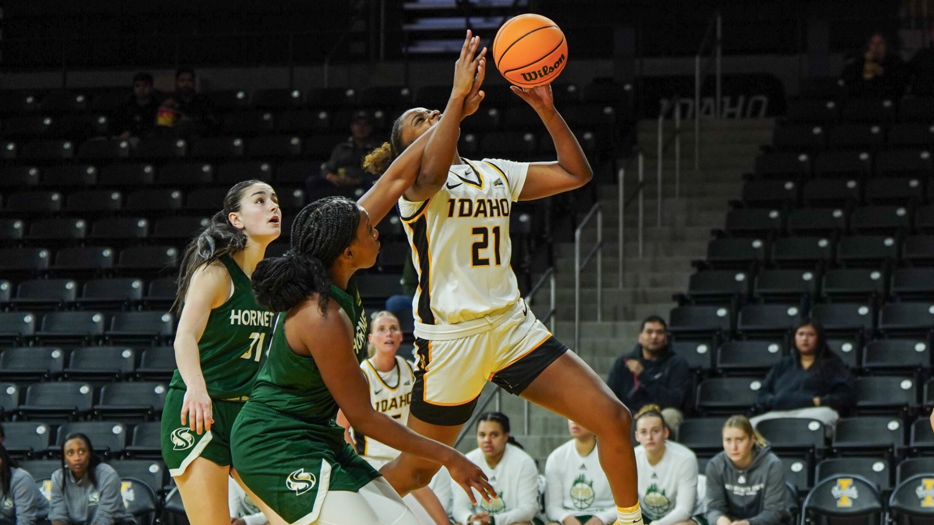 Kennedy Johnson - Women's Basketball - University of Idaho Athletics
