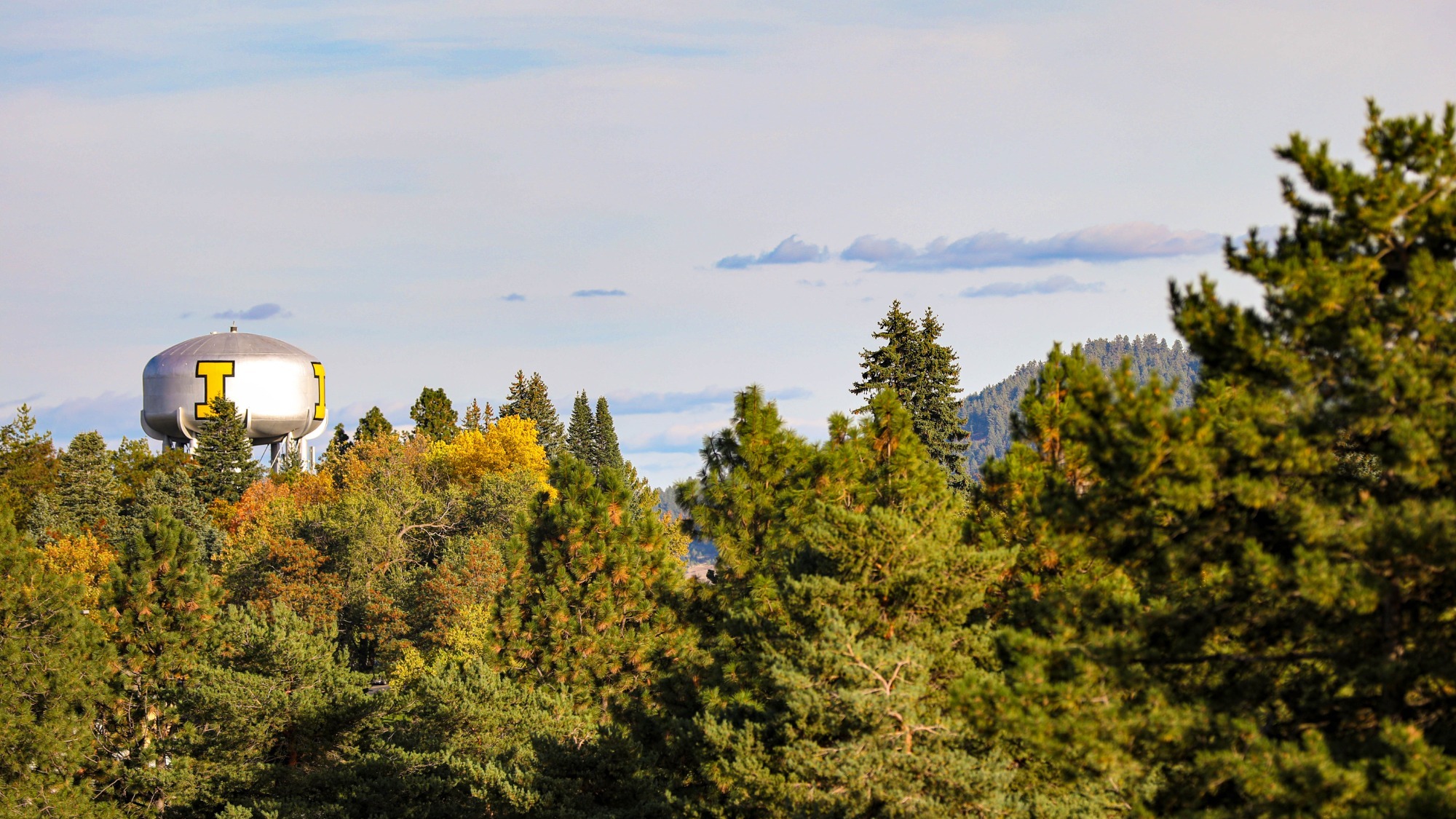 Idaho Athletics Celebrates the 50th Anniversary of the P1FCU Kibbie ...