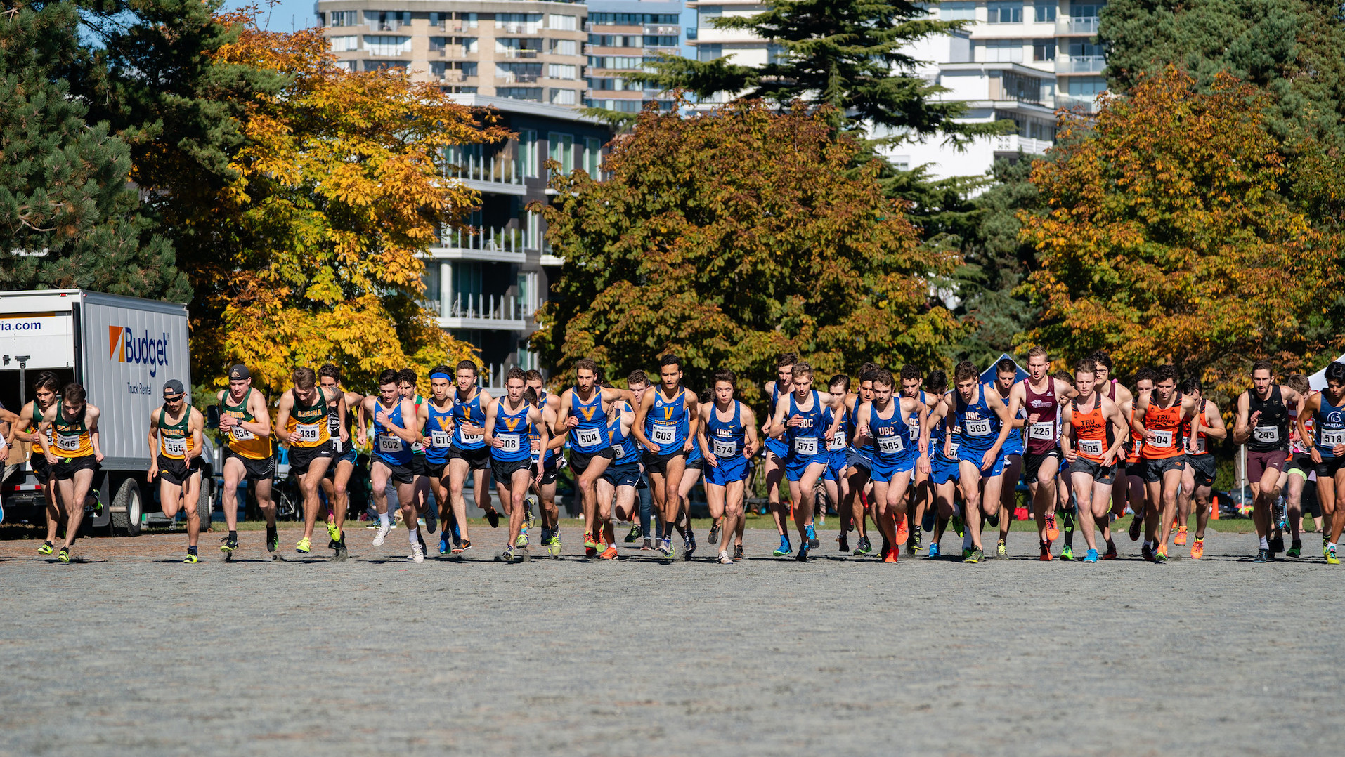 Vikes cross country and track adds four new athletes for 2019-20 ...