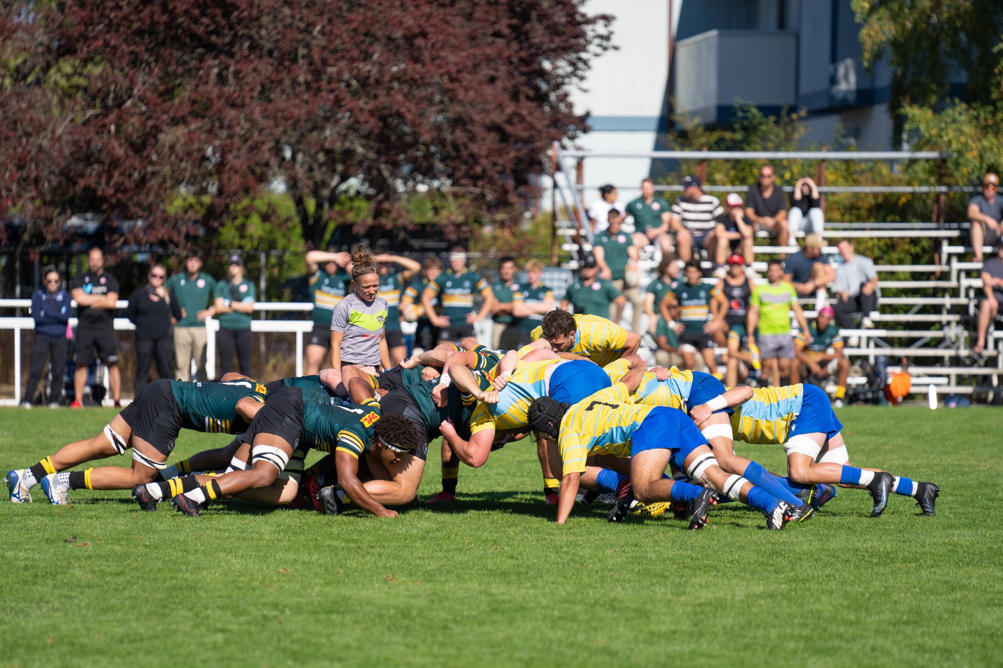 Men's rugby takes on Pride at Starlight Stadium - University of ...