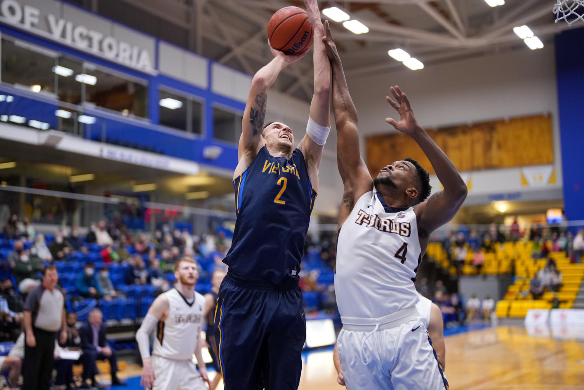 Matthew Ellis - Men's Basketball - University of Victoria Athletics