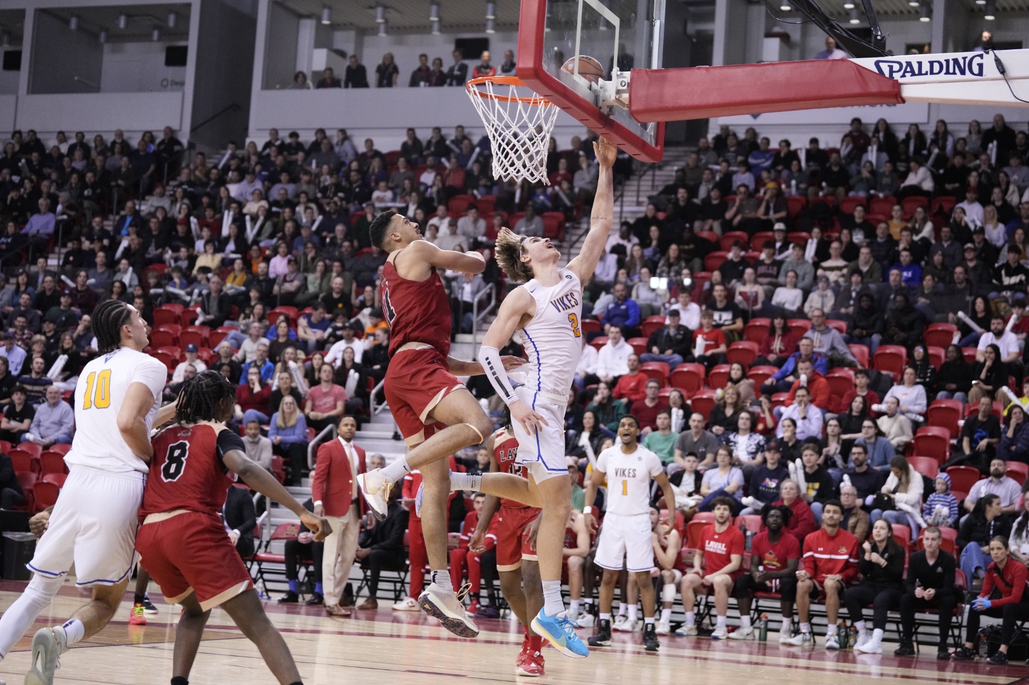 Elias Ralph - Men's Basketball - University of Victoria Athletics