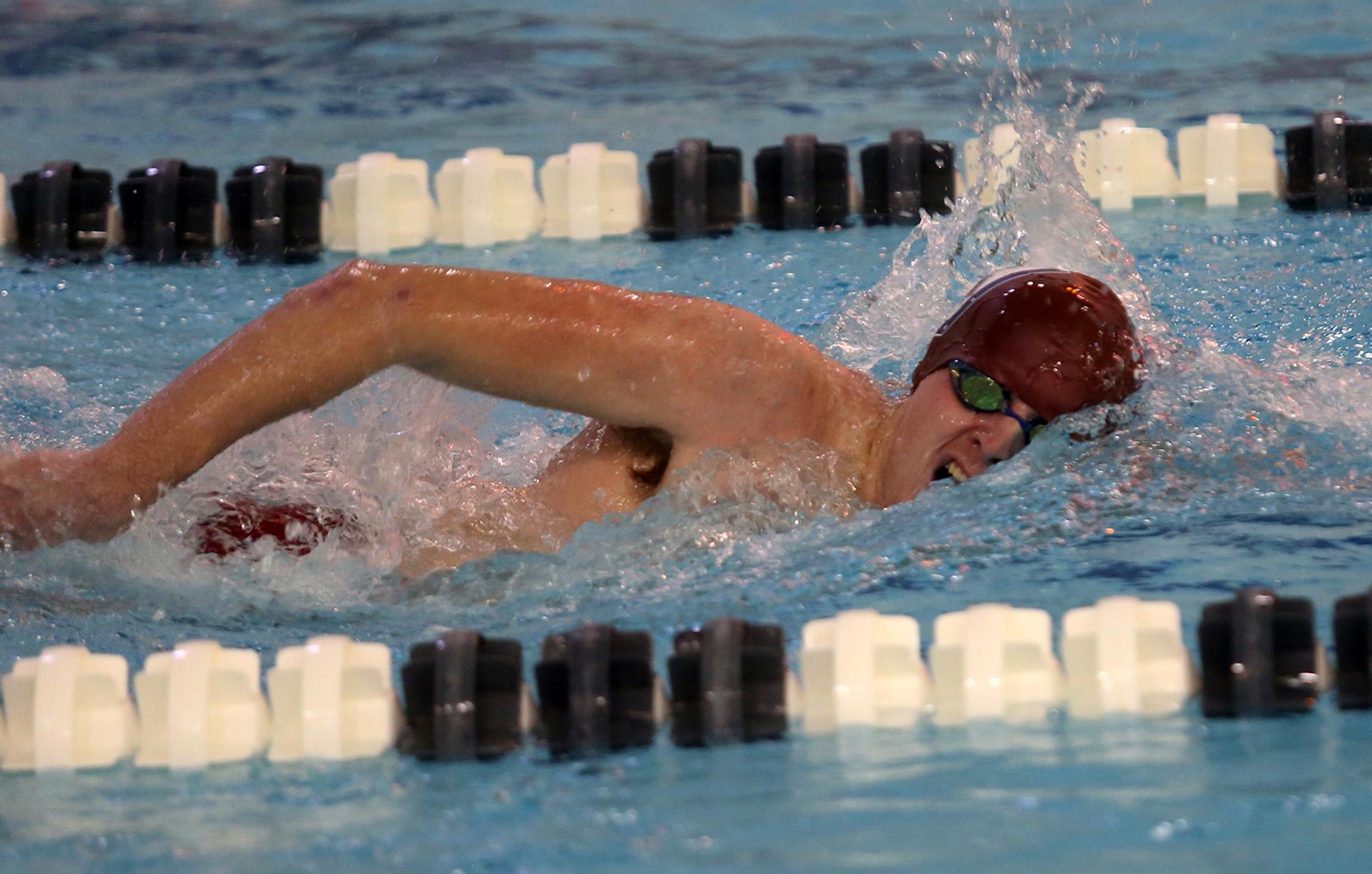 Connor Scully - 2023-24 - Men's Swimming - Eastern Connecticut State ...