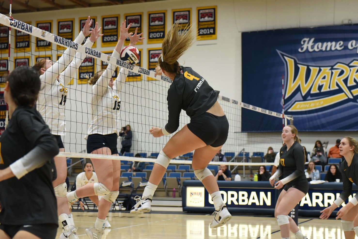 Rylee Troutman - Volleyball - Corban University Athletics