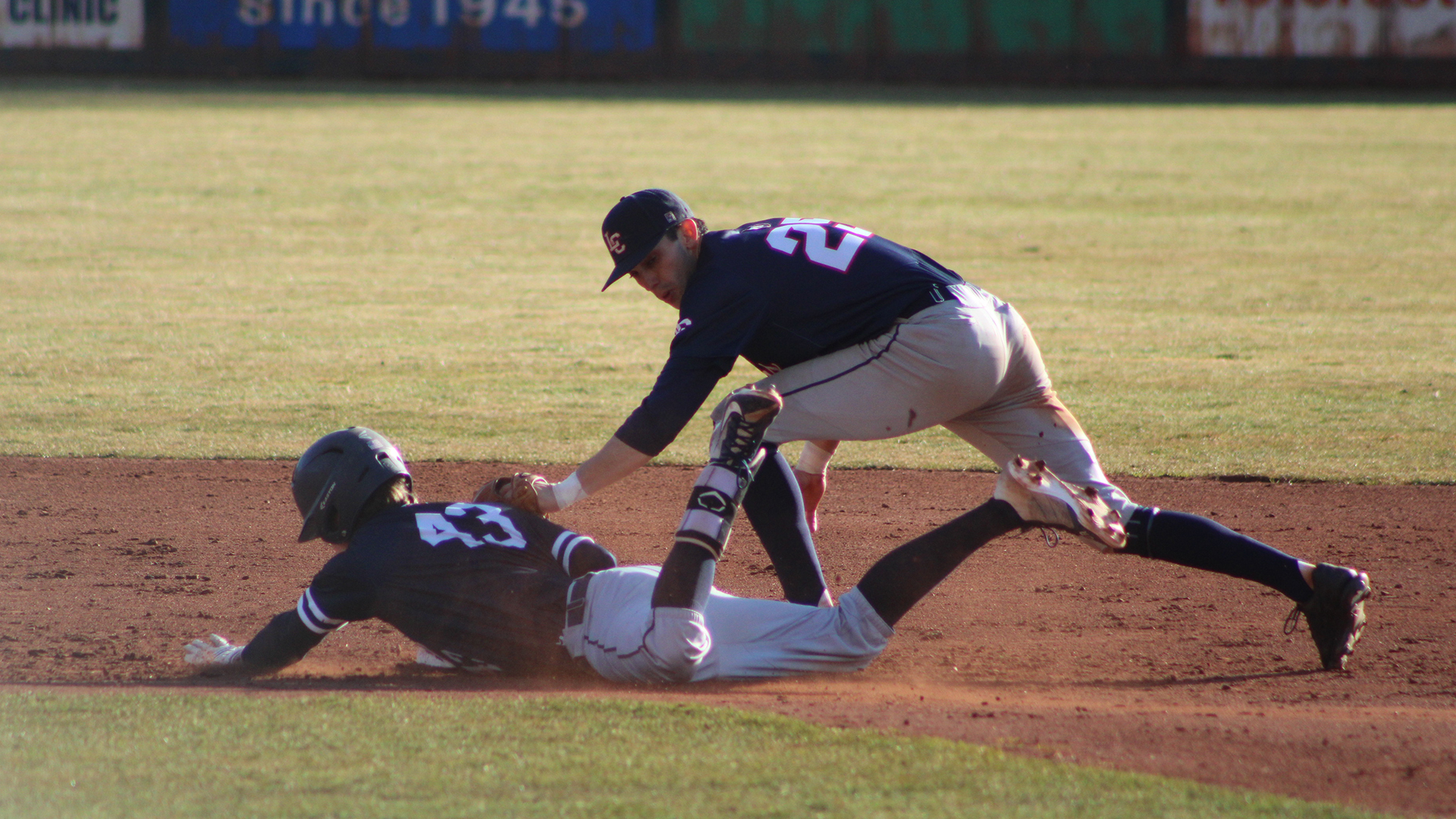 Scott Lewis Baseball