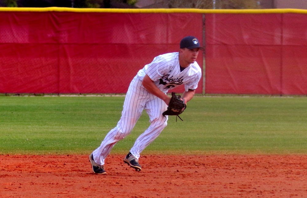 Matthew Reese - 2017 - Baseball - Wilkes University Athletics