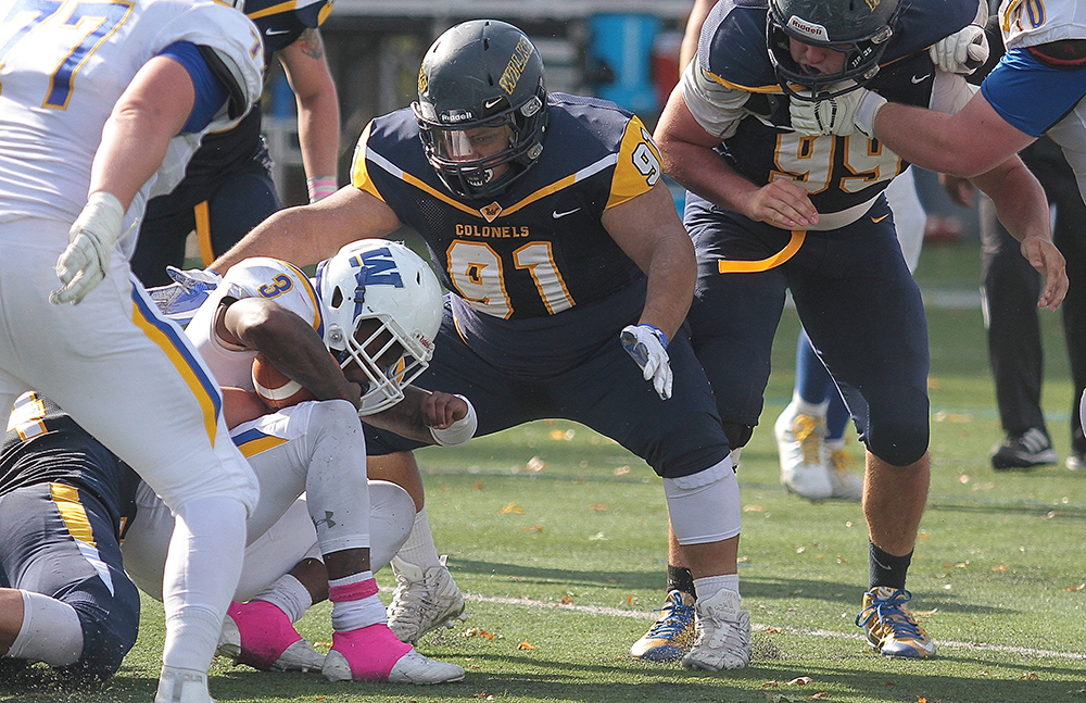 Brendan Riley - 2017 - Football - Wilkes University Athletics